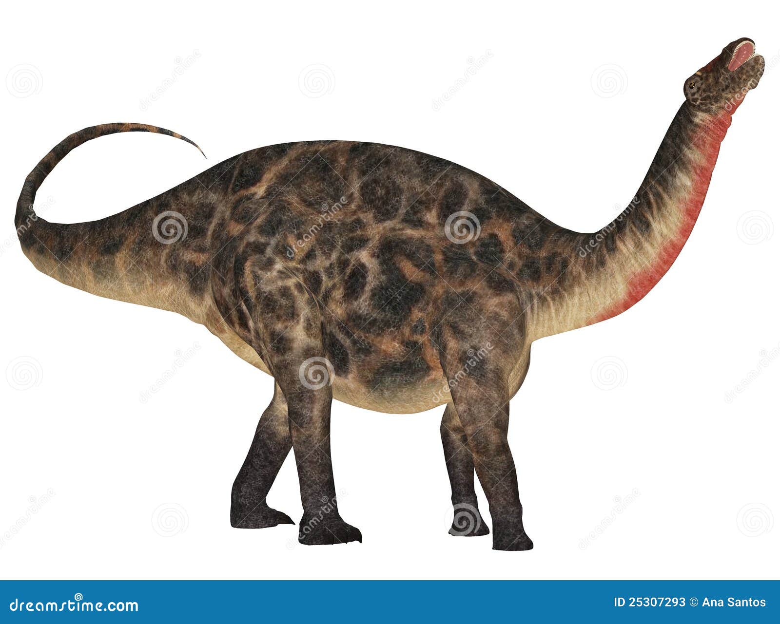 Dicraeosaurus stock illustration. Illustration of render - 25307293