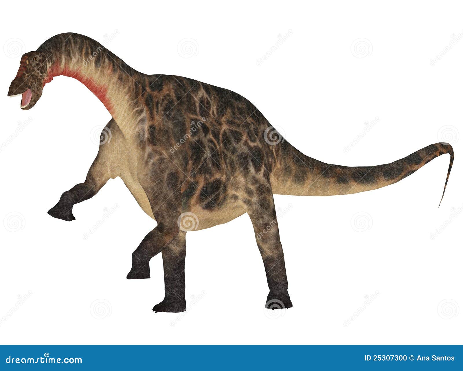 Dicraeosaurus stock illustration. Illustration of jurassic - 25307300