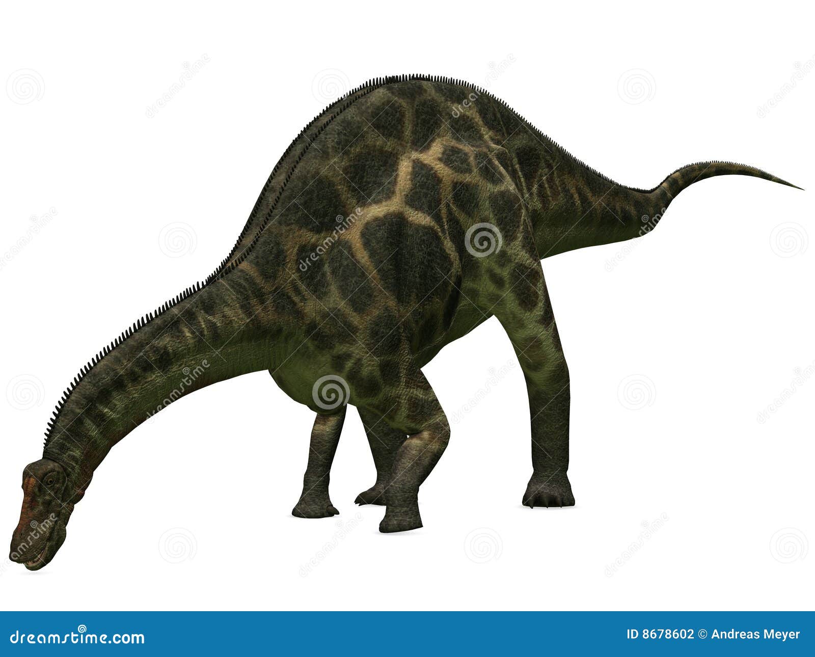 Dicraeosaurus - 3D Dinosaur Royalty-Free Stock Image | CartoonDealer ...