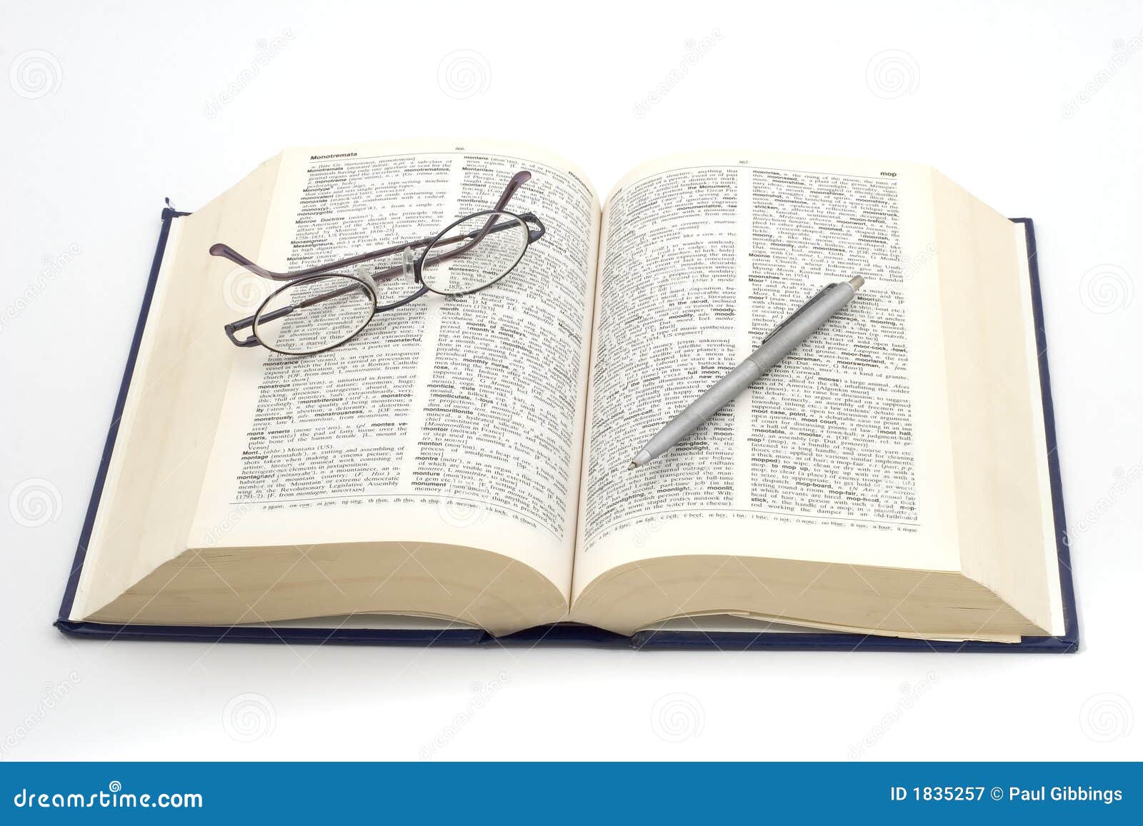 Dictionary 2 stock image. Image of language, learn, english - 1835257