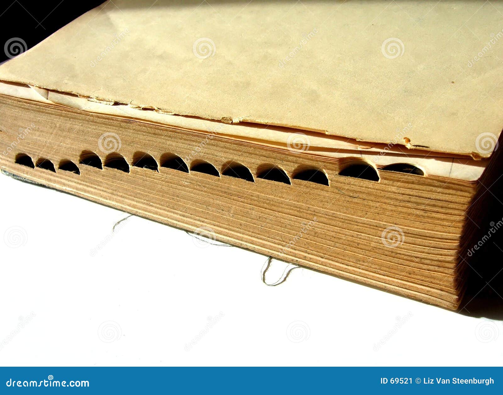 Dictionary stock image. Image of aged, yellowed, dictionary - 69521