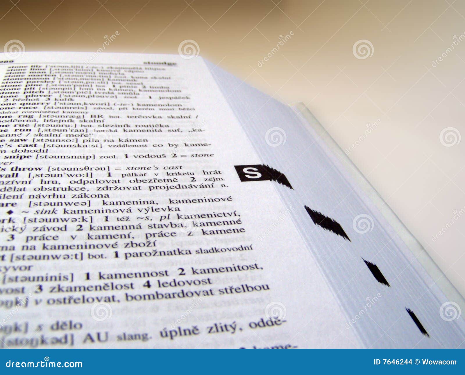 Dictionary stock photo. Image of paragraph, lexicon, bookmark - 7646244