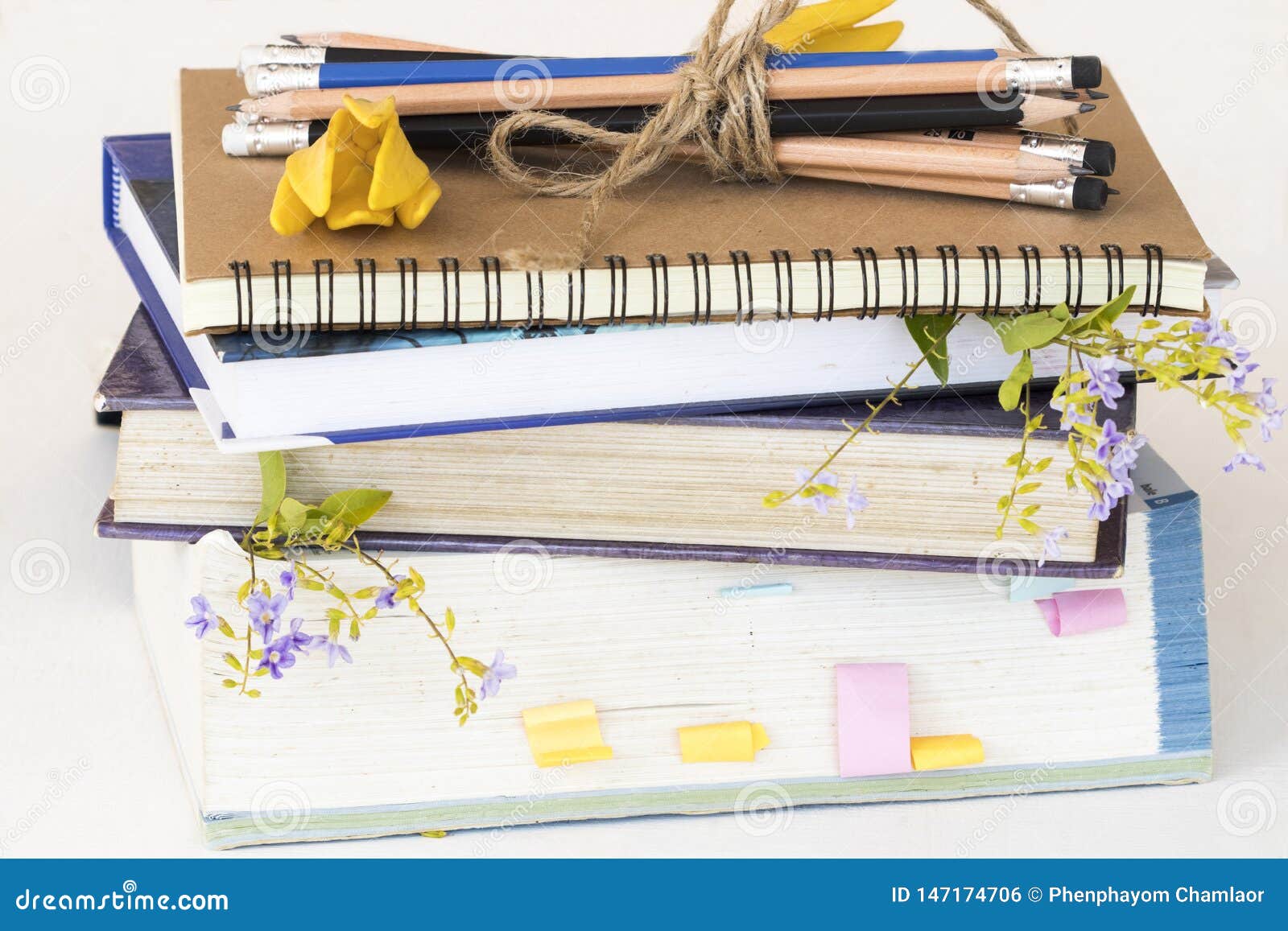 Dictionary ,book for Study of Student Stock Photo - Image of flower ...