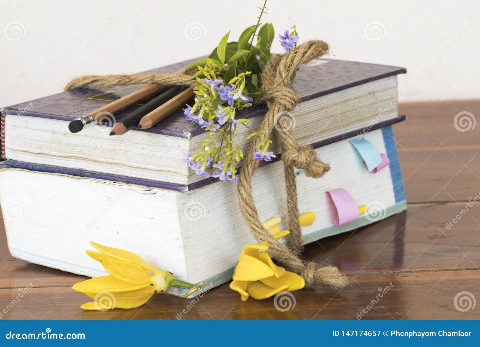 Dictionary ,book for Study of Student Stock Image - Image of education ...