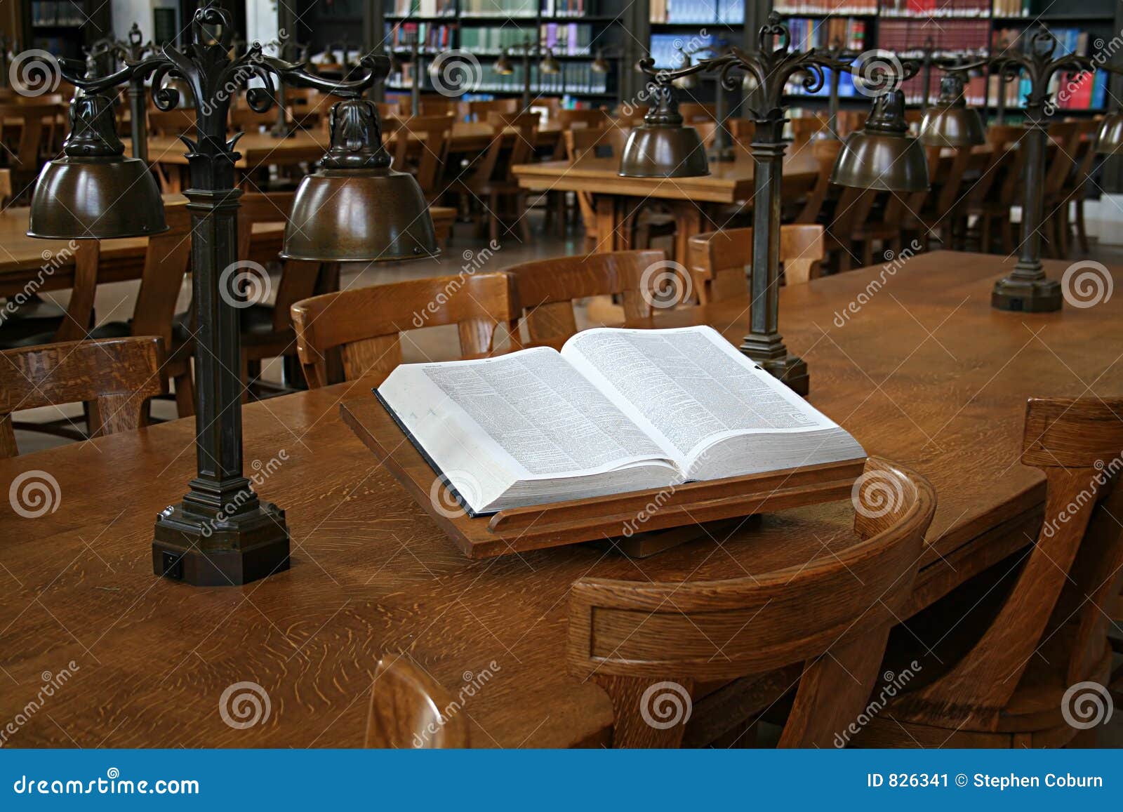 Dictionary in Library stock image. Image of dictionary - 826341
