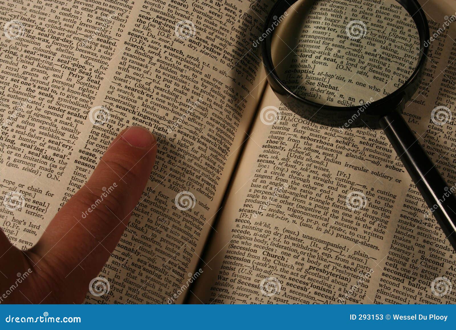 Dictionary search stock image. Image of search, examine - 293153