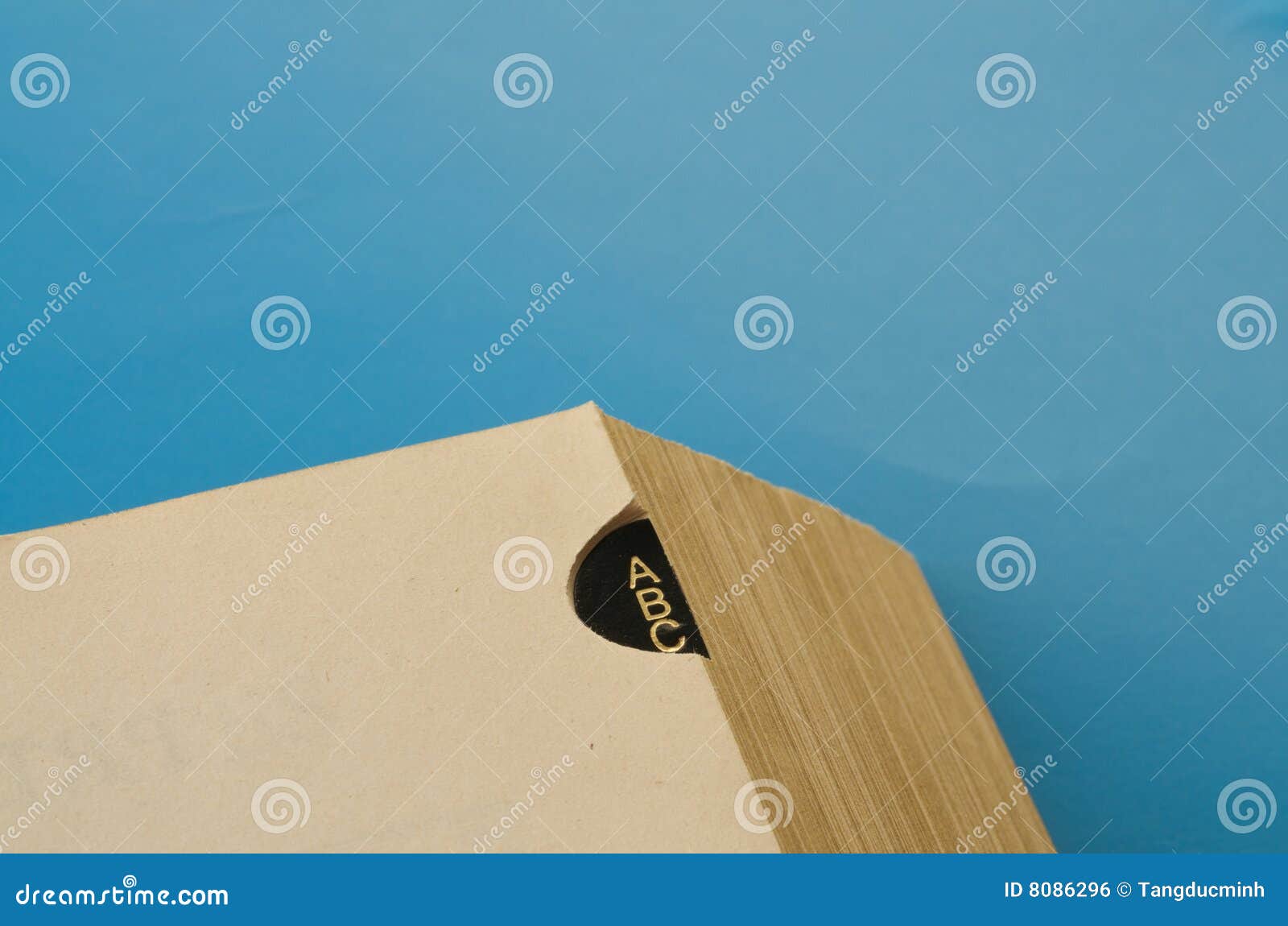 Dictionary Tabs Picture. Image: 8086296