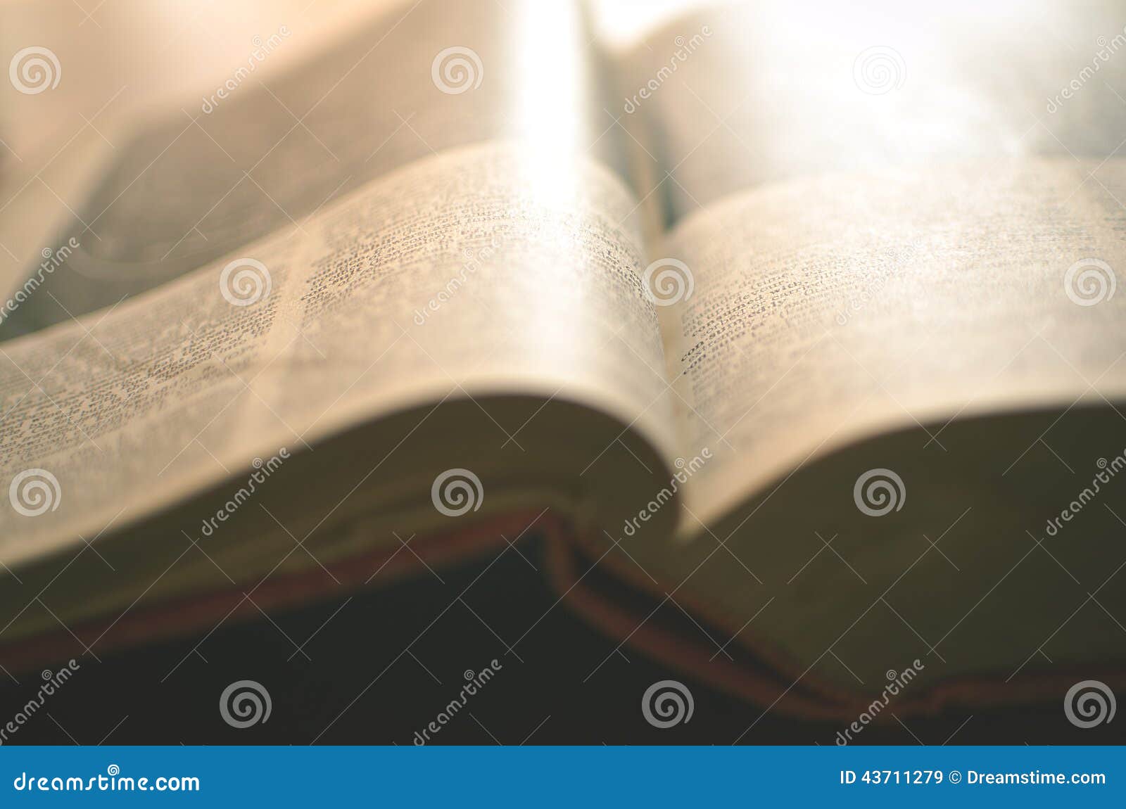 Dictionary stock image. Image of book, webster, natural - 43711279