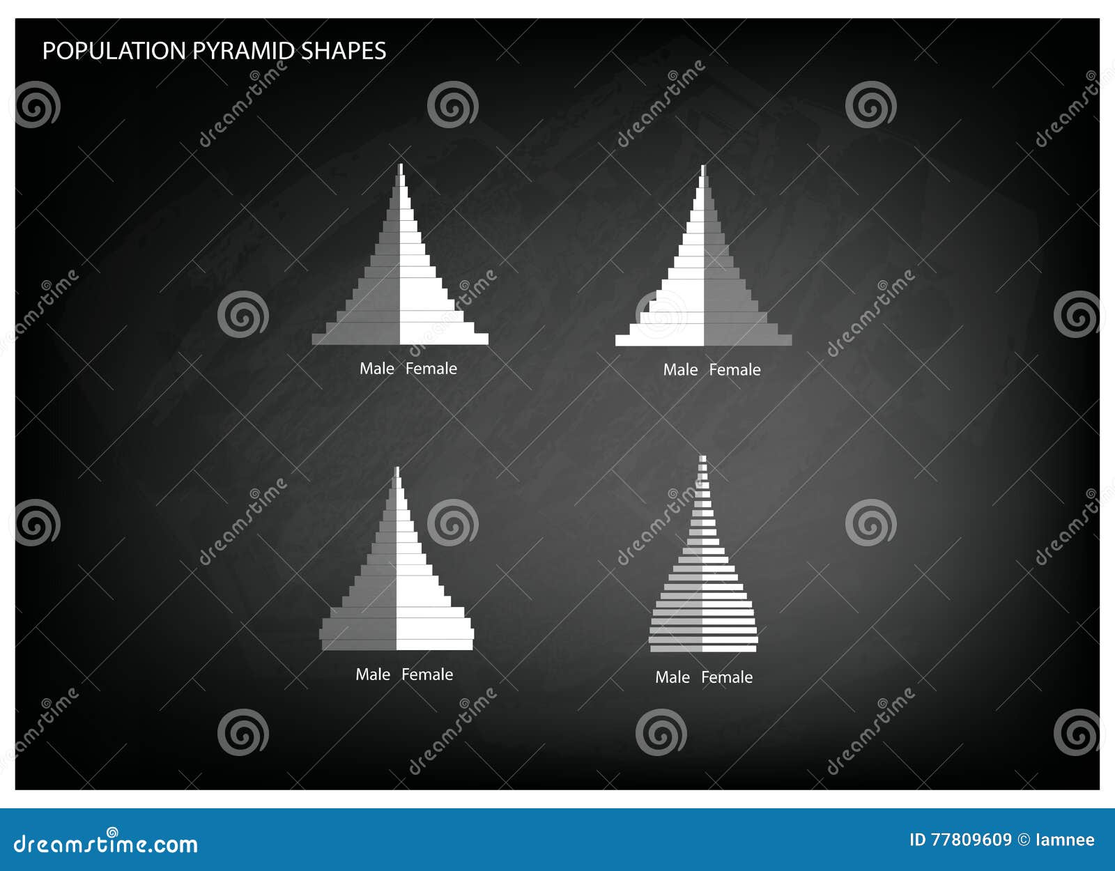 Die 4 Arten Von Alterspyramide-Diagrammen Vektor Abbildung ...