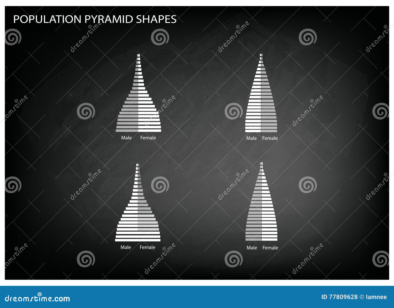 Die 4 Arten Von Alterspyramide-Diagrammen Vektor Abbildung ...