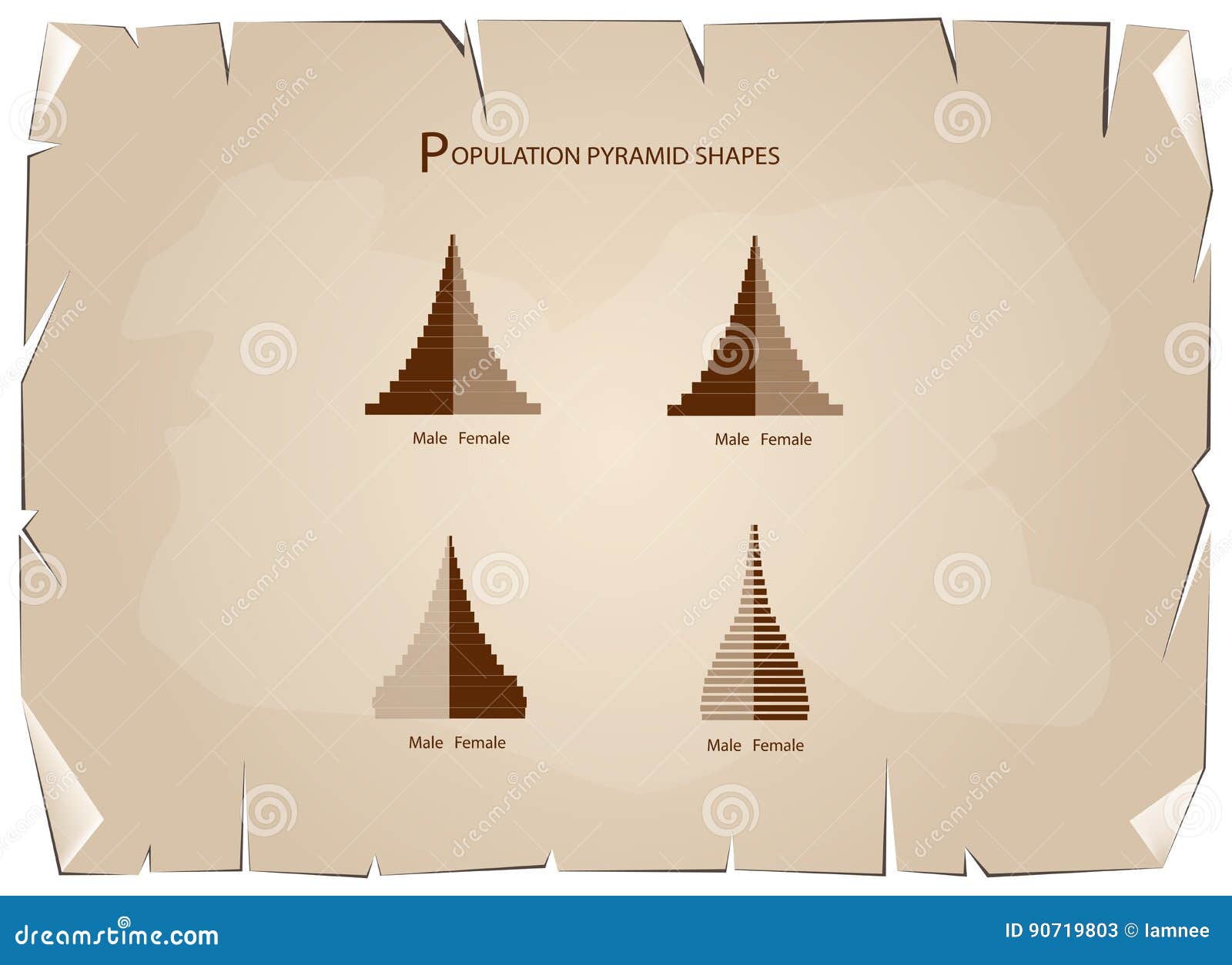 Die 4 Arten Von Alterspyramide-Diagrammen Vektor Abbildung ...