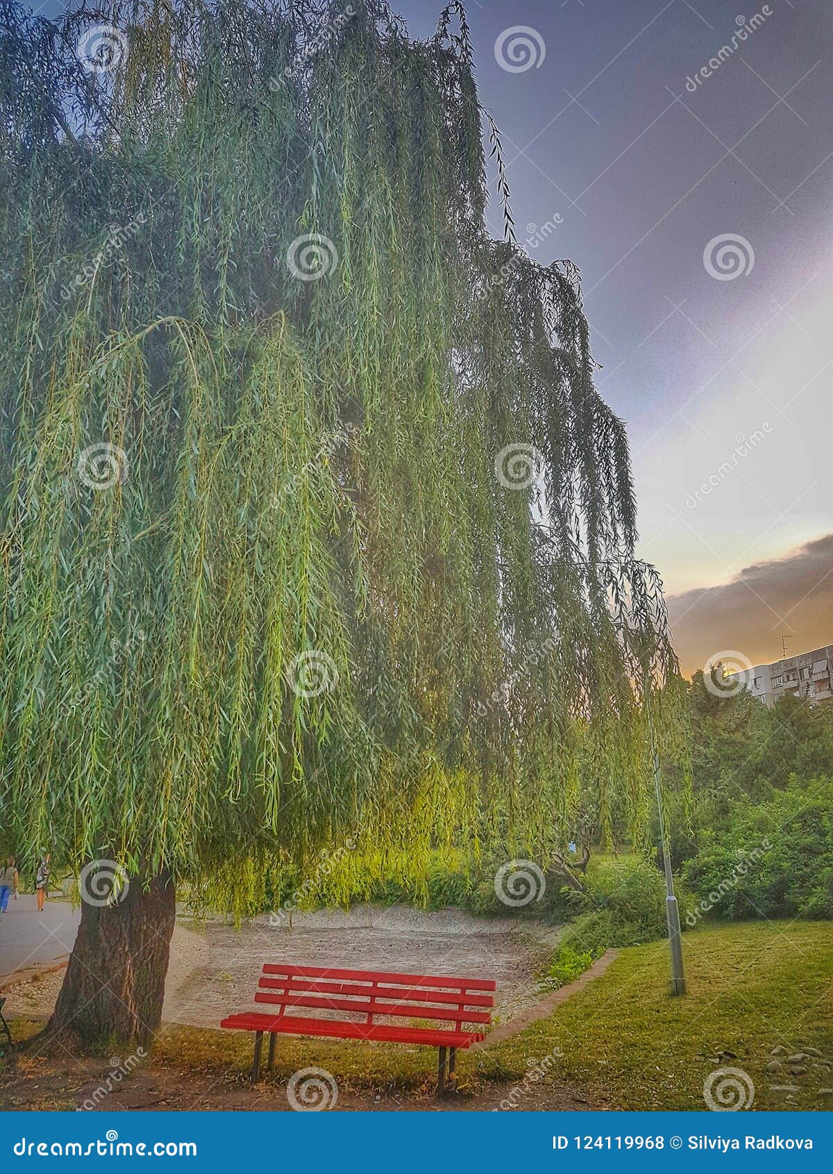 Die Bank stockfoto. Bild von städtisch, landschaft, entspannen - 124119968