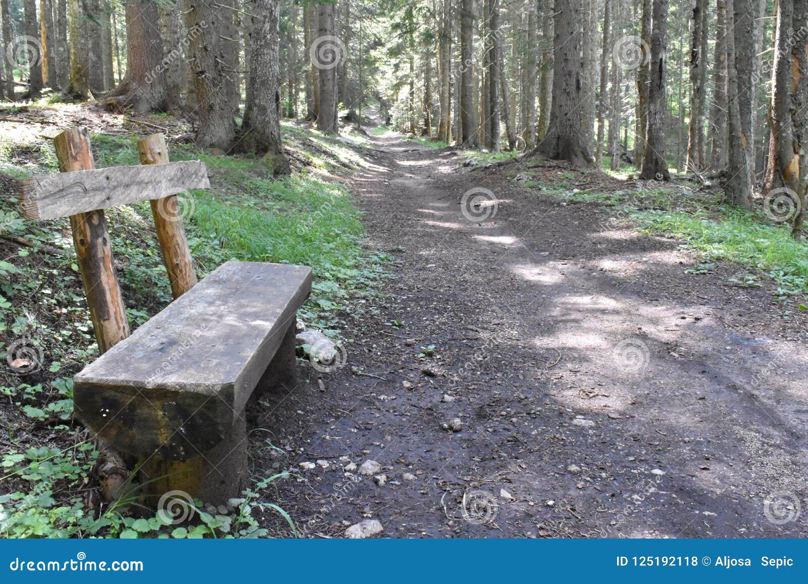 Die Bank Im Wald Und in Der Schneise Stockfoto - Bild von energie ...