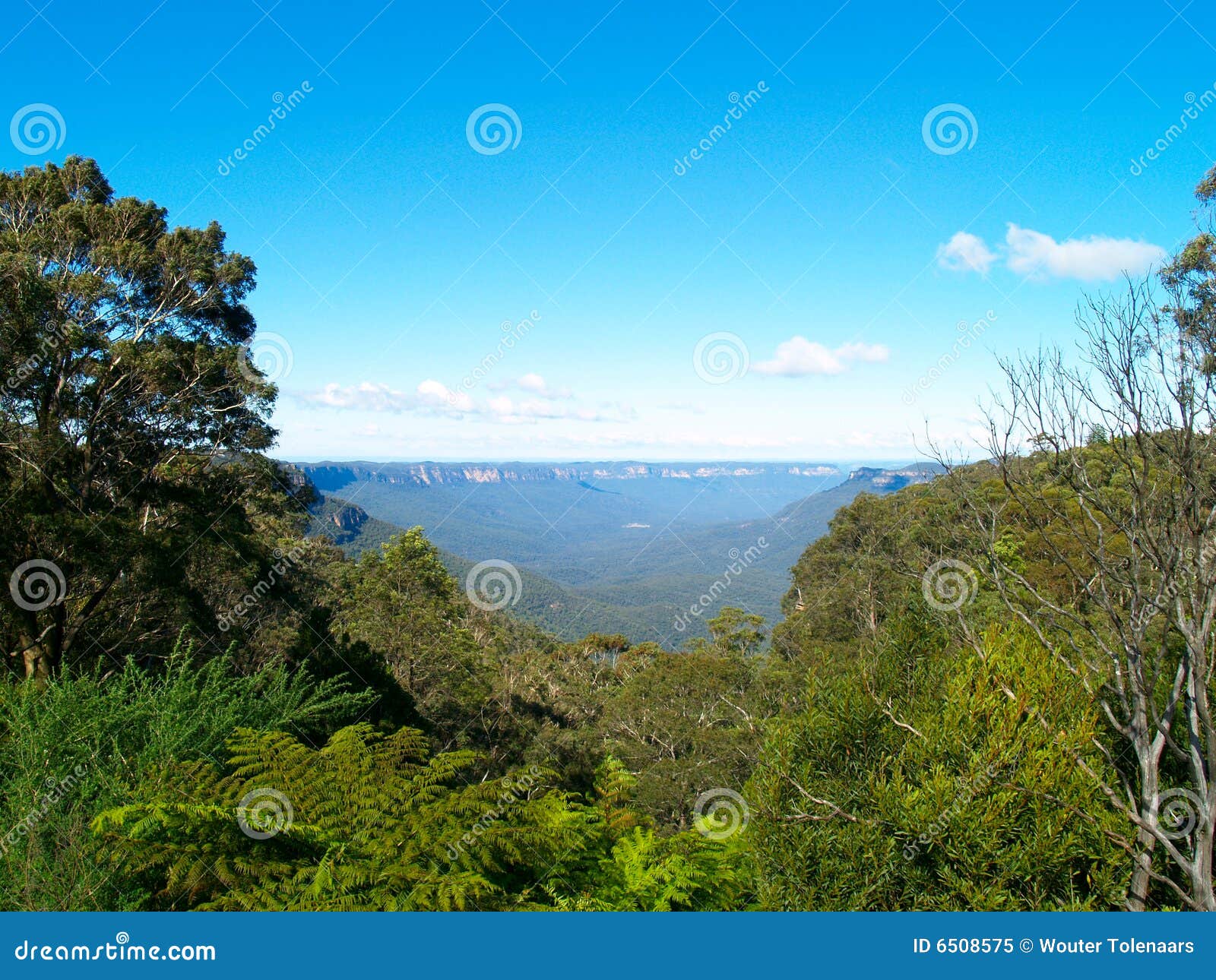Die Blauen Berge in Australien Stockbild - Bild von landschaft, nave ...