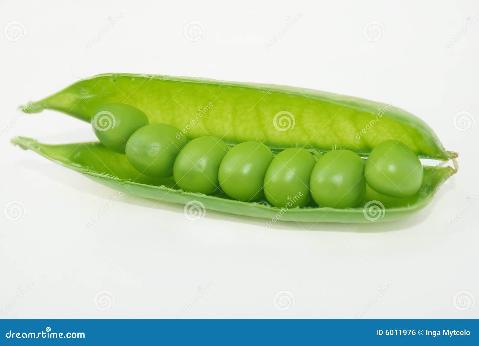 Die Erbse stockfoto. Bild von bohne, feinschmecker, nahrung - 6011976