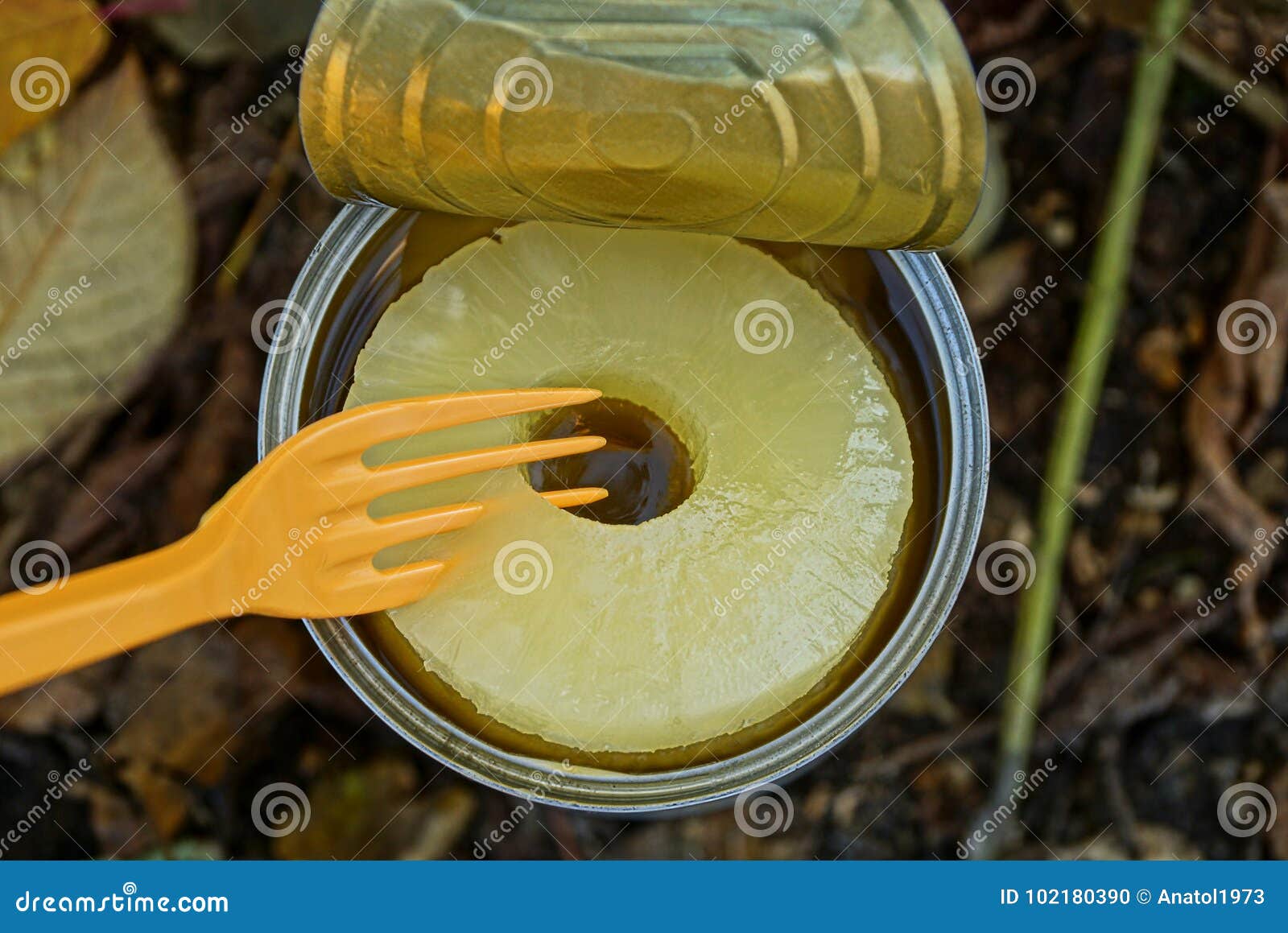 Die Gabel Zieht Den Ananasring Vom Eisenglas Aus Stockfoto - Bild von ...