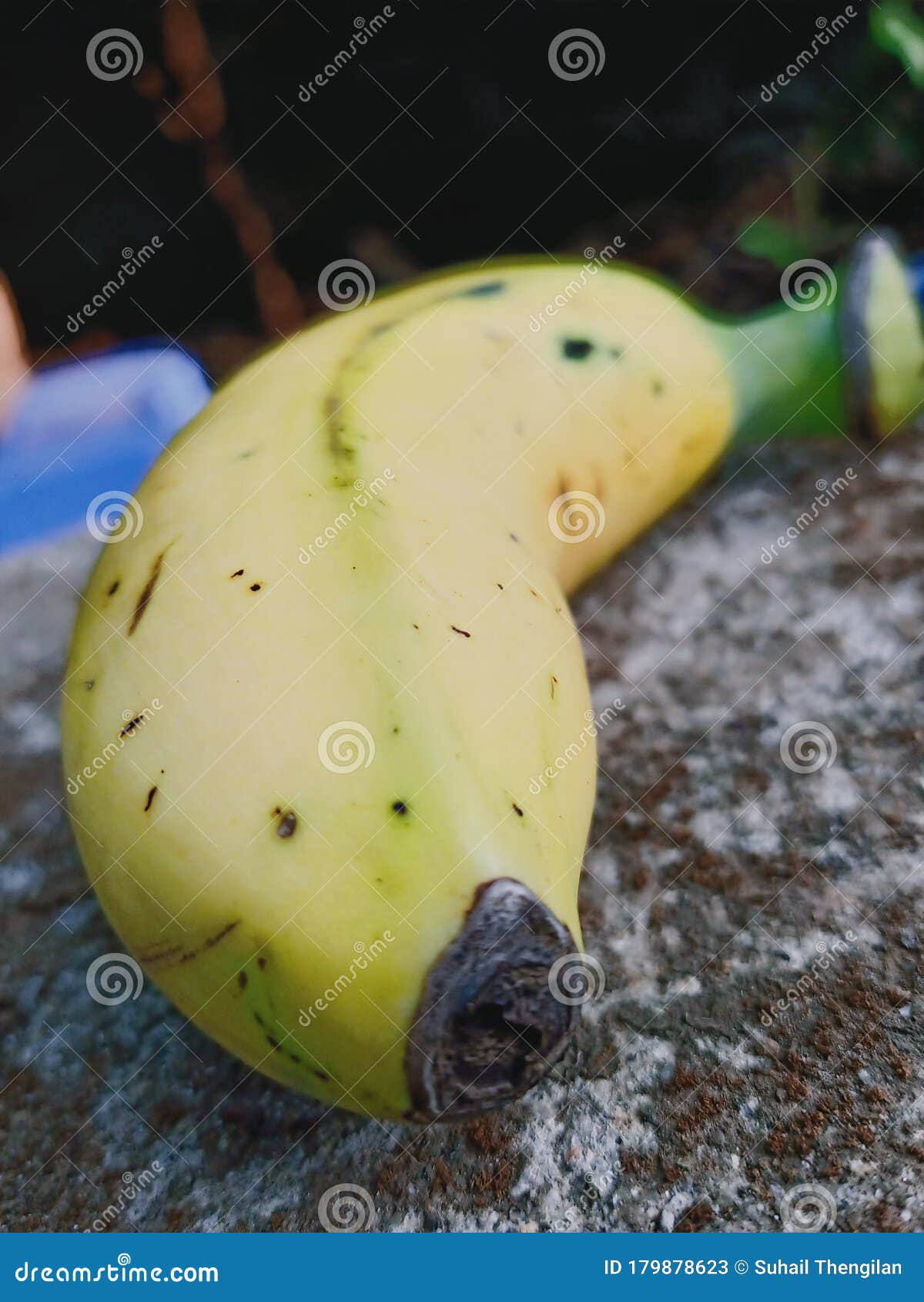 Die gelbe Banane stockbild. Bild von grün, erzeugnis - 179878623