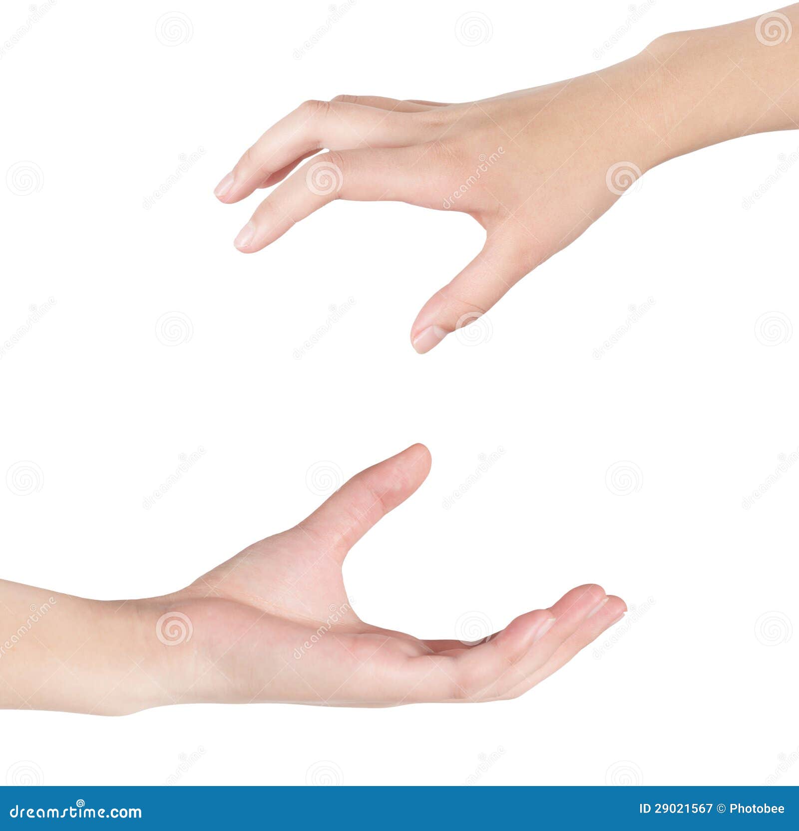 Die Hand der Frau stockbild. Bild von finger, vertretung - 29021567