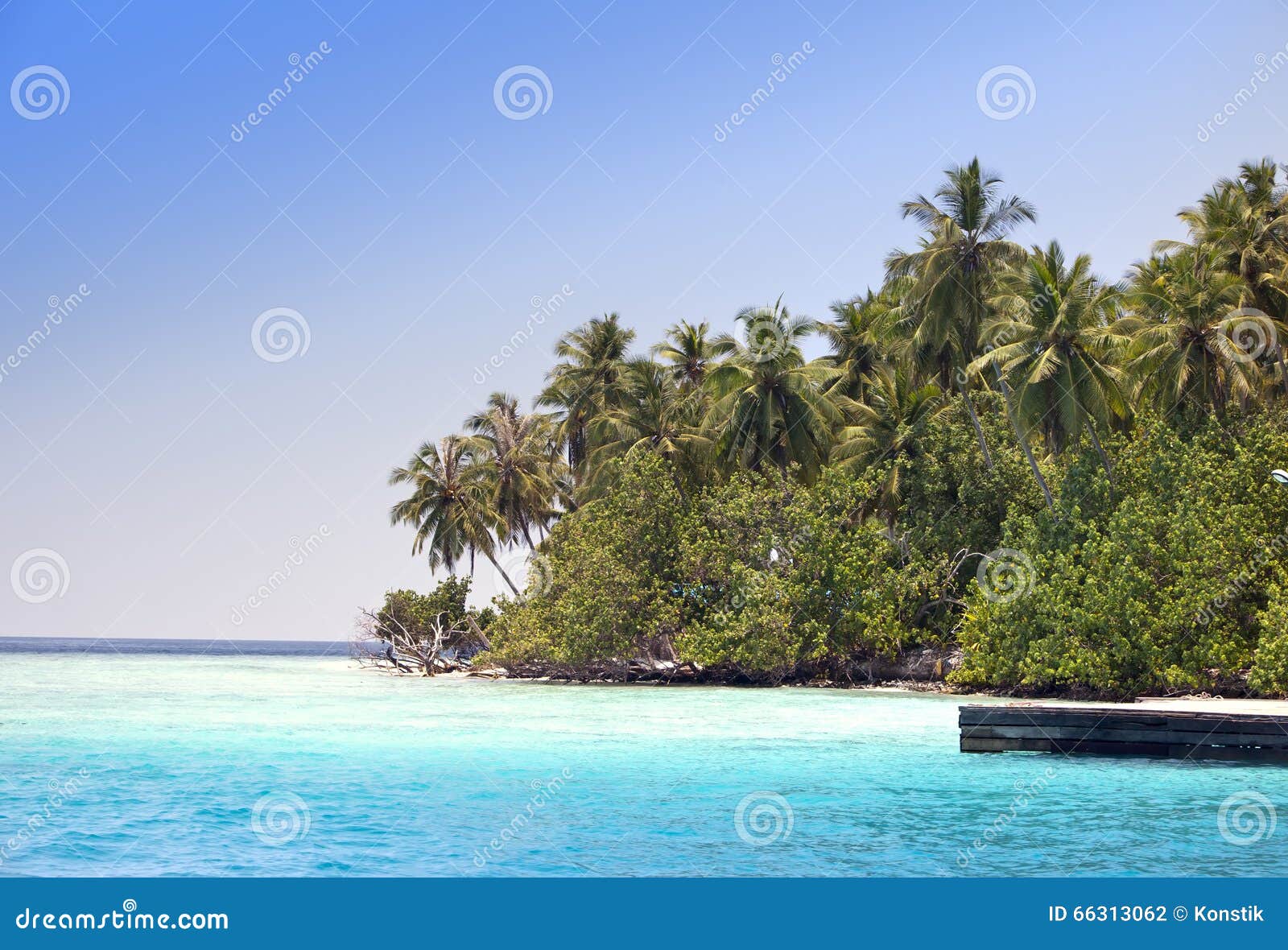 Die Insel Mit Palmen Im Ozean Stockfoto - Bild von hotel, luxus: 66313062