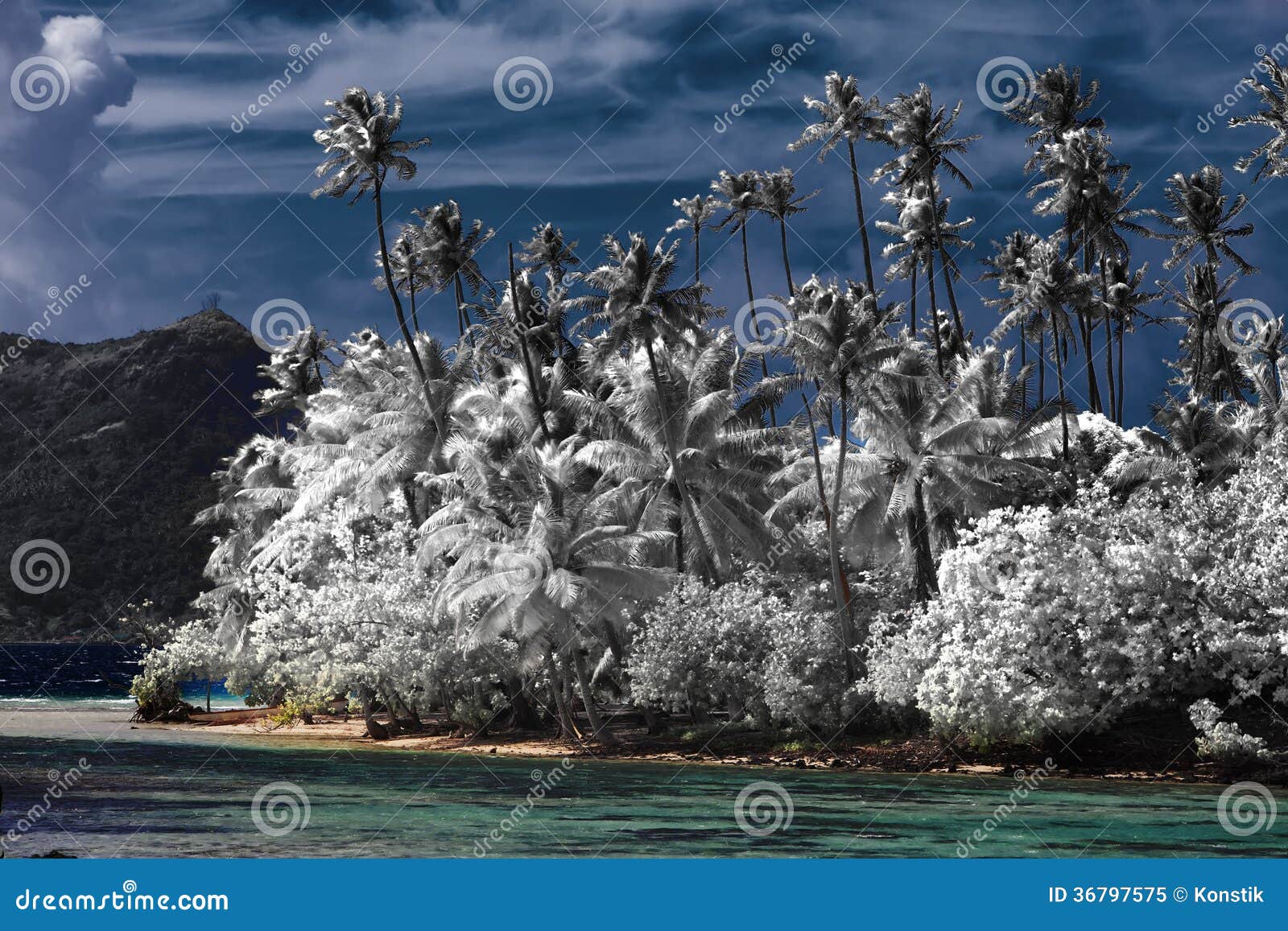 Die Insel Mit Palmen Zum Meer Stockbild - Bild von himmel, lagune: 36797575