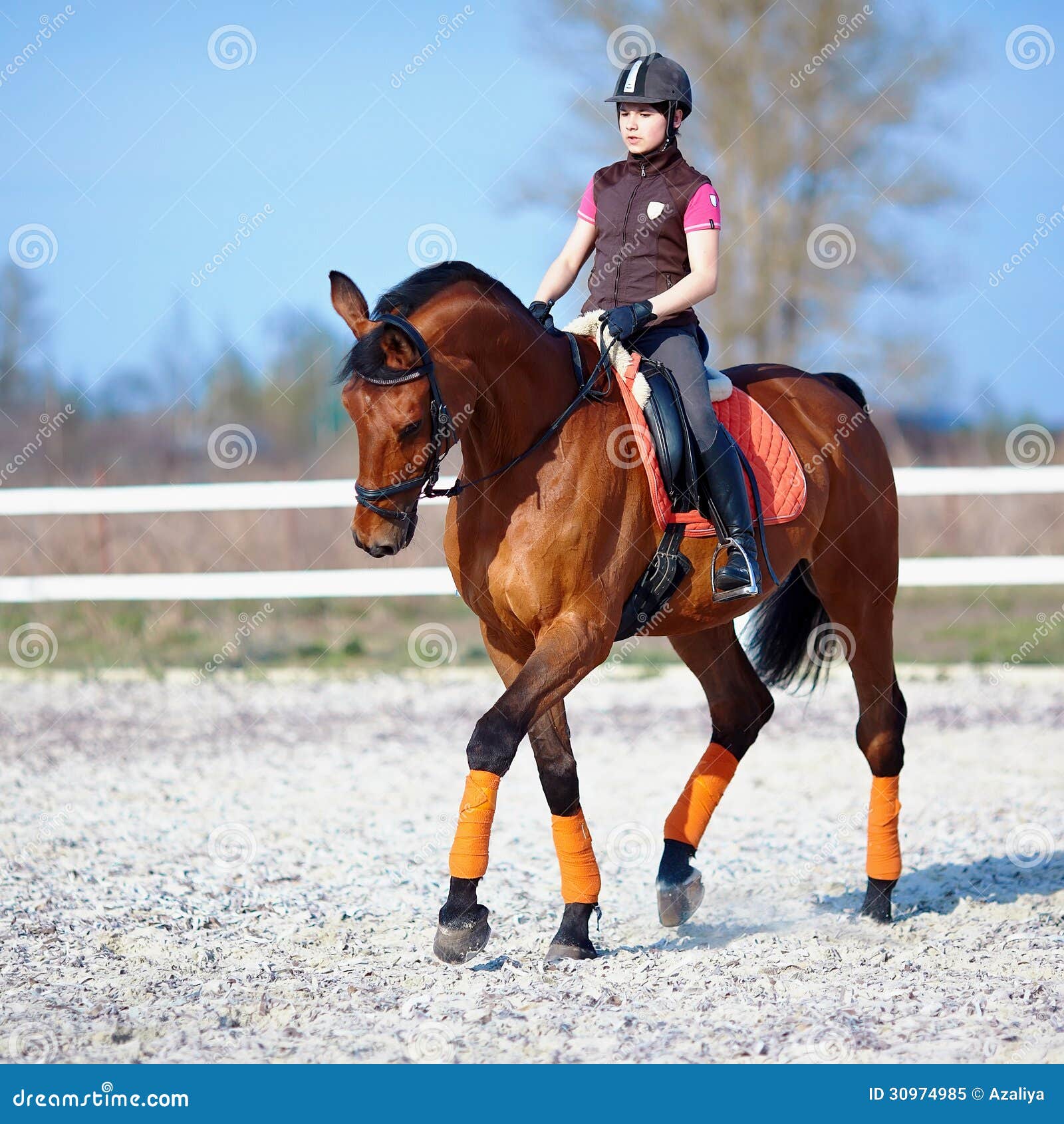 Die Reiterin Auf Einem Roten Pferd Stockbild - Bild von aktivität ...