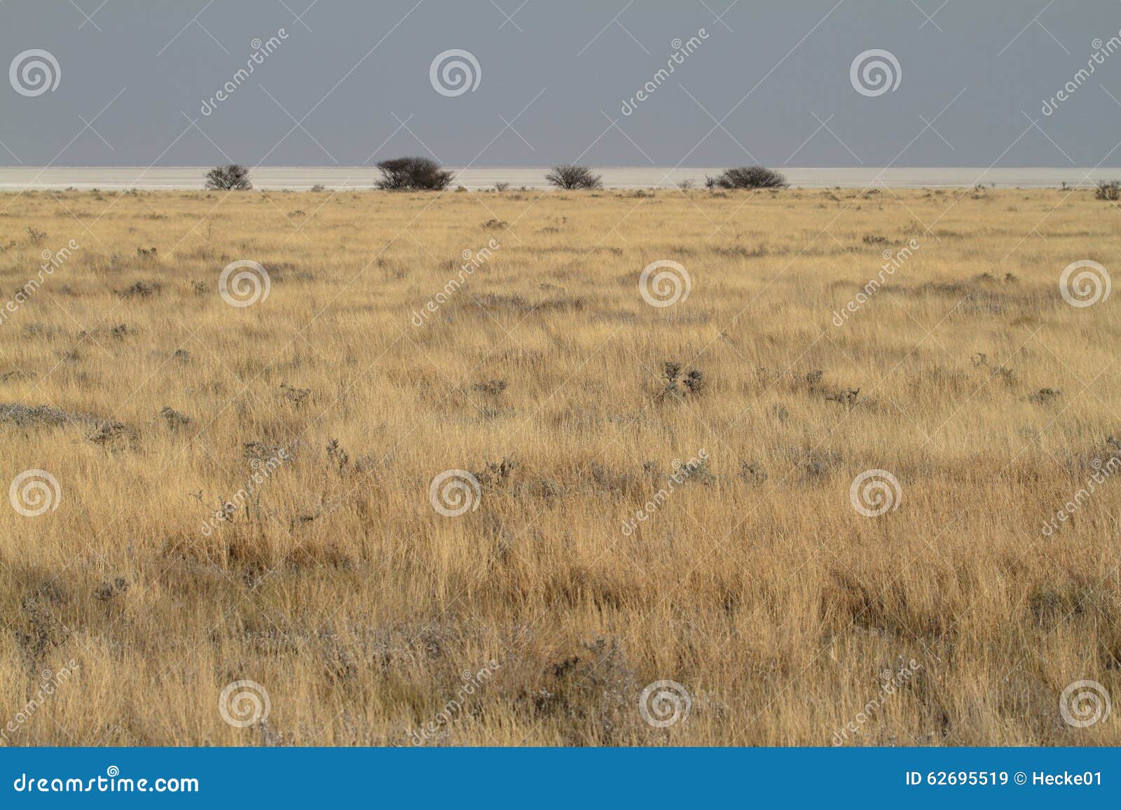 Die Savanne Im Nationalpark Etosha in Namibia Stockbild - Bild von ...