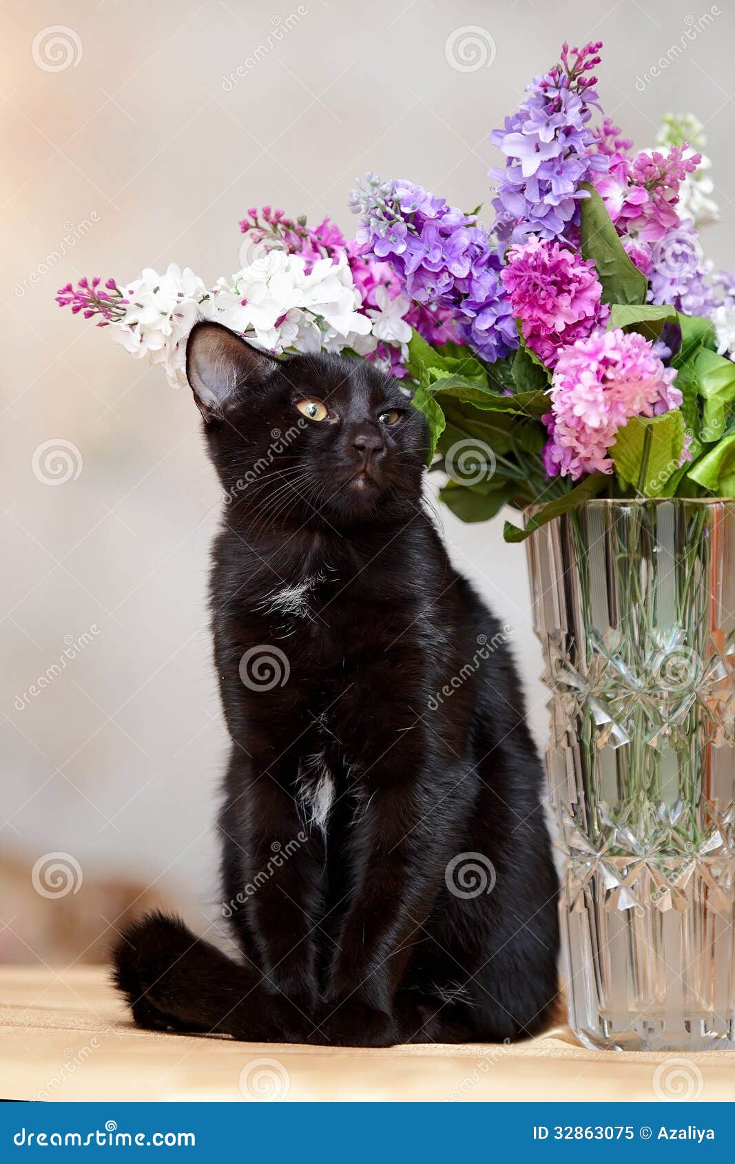 Die Schwarze Katze Sitzt Nahe Einem Vase Mit Den Blumen. Stockbild ...
