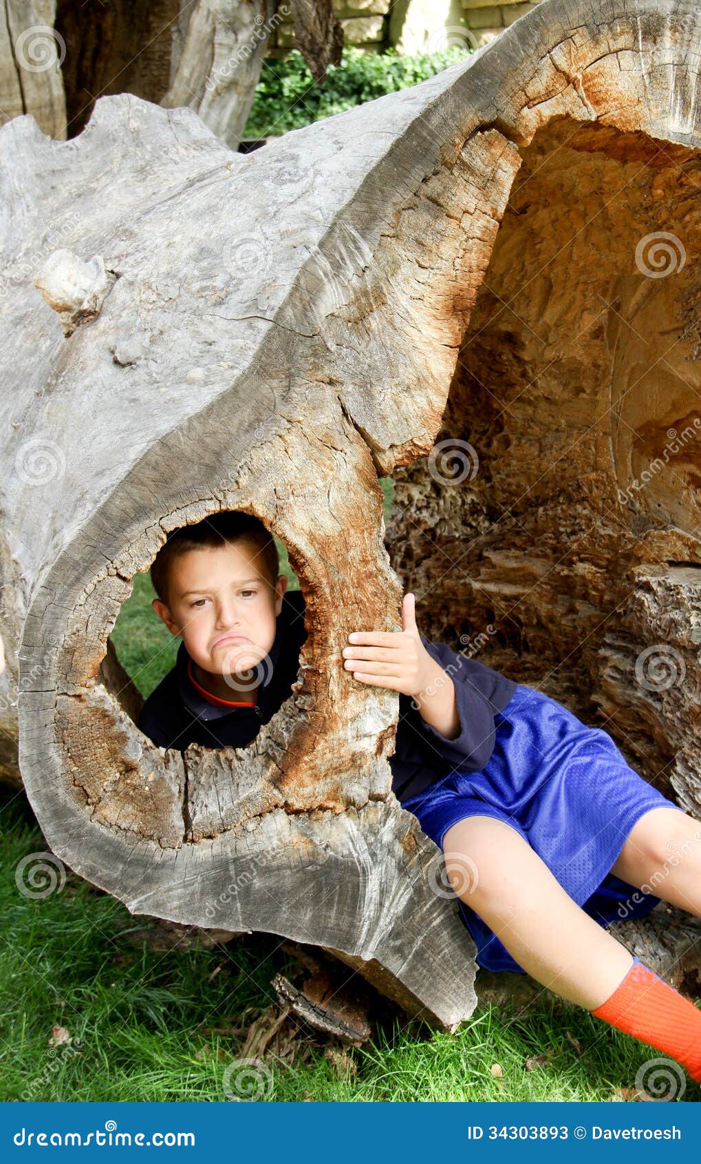 Die Stirn Runzelnder Junge Im Hohlen Baum Stockbild - Bild von freude ...