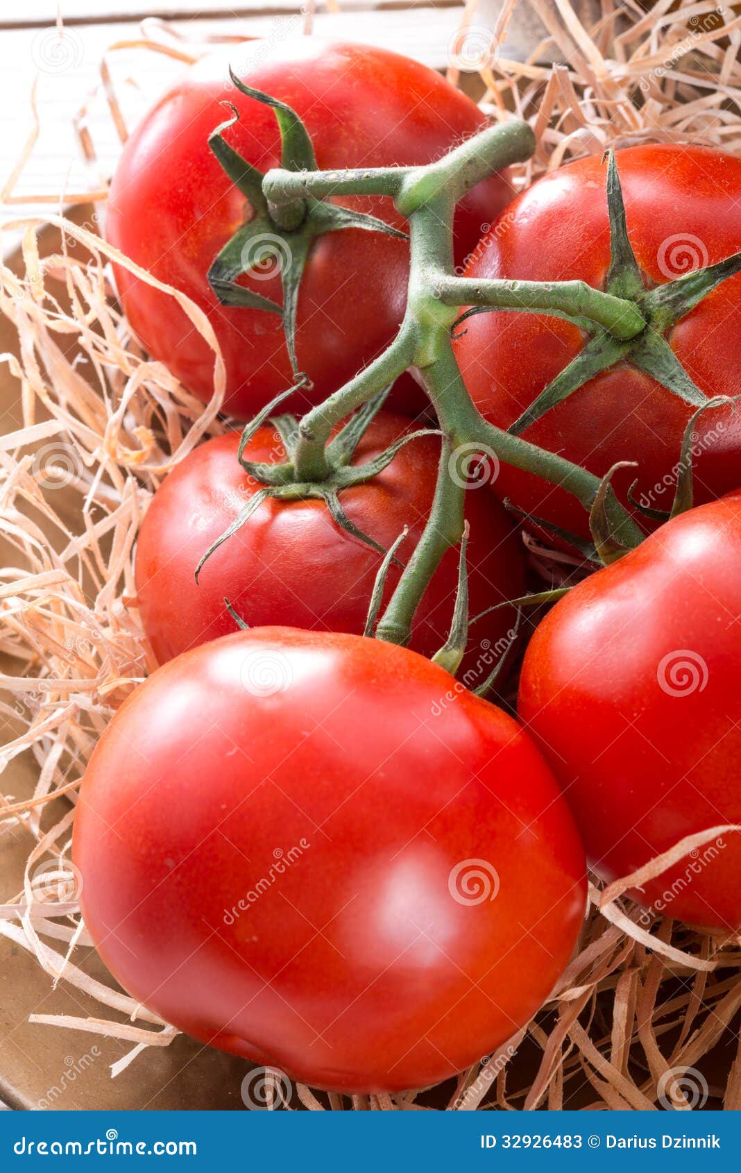 Die Tomate (Nachtschatten Lycopersicum) Stockbild - Bild von gesund ...