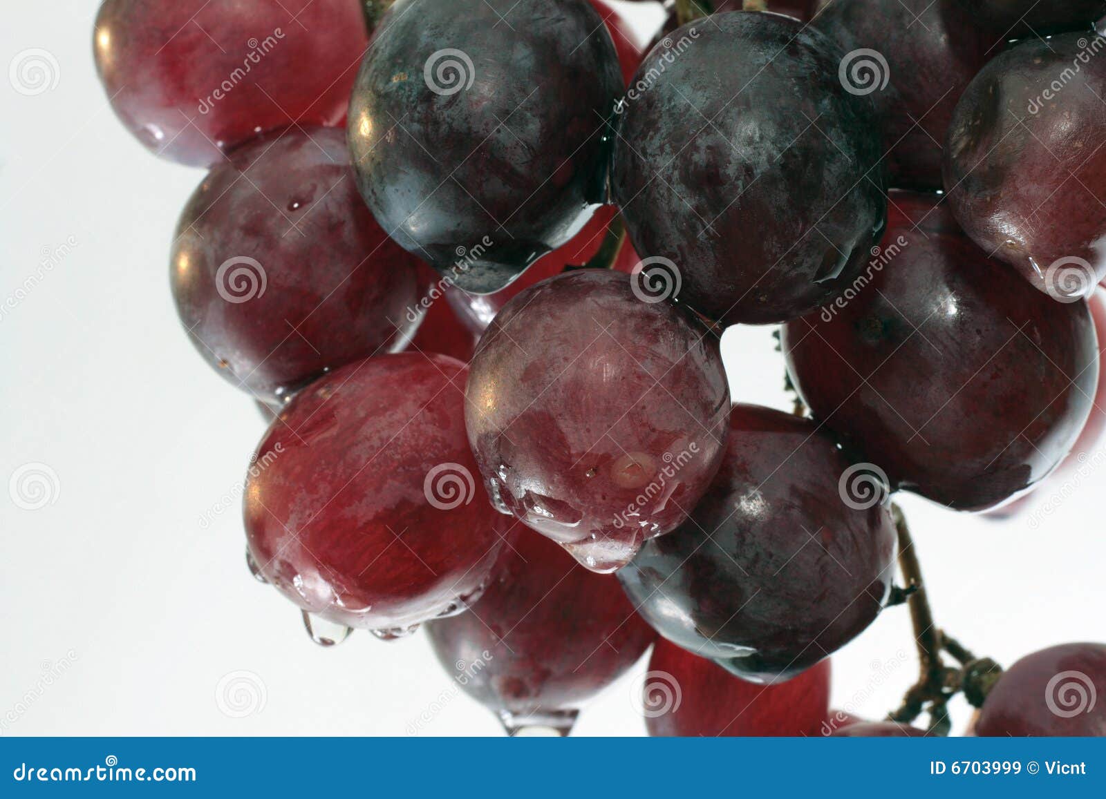Die Traube stockbild. Bild von kalifornien, nahrung, feiertag - 6703999