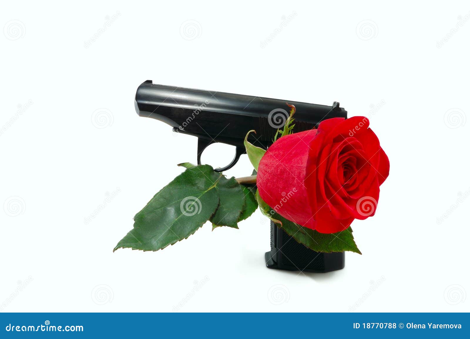 Die Waffe und stieg stockfoto. Bild von gefahr, pistole - 18770788