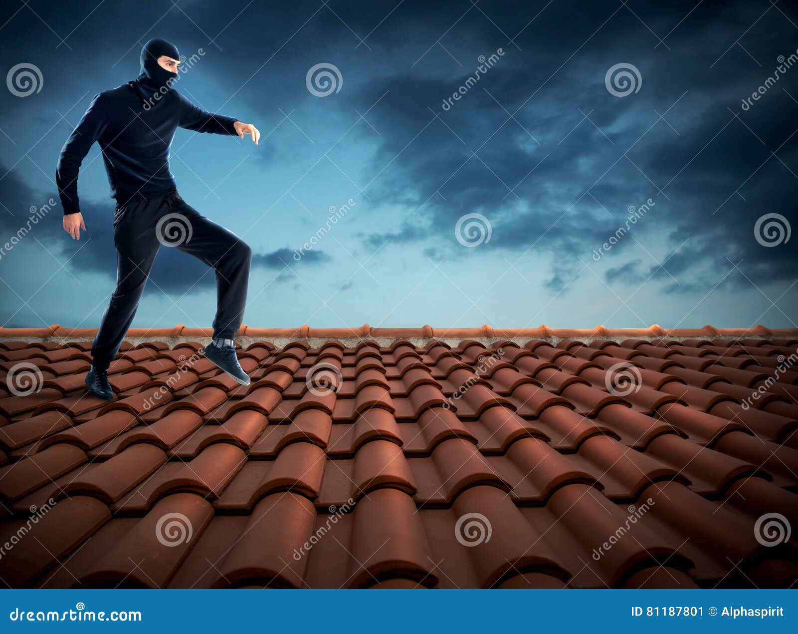 Dief op het dak stock afbeelding. Image of huis, dief - 81187801