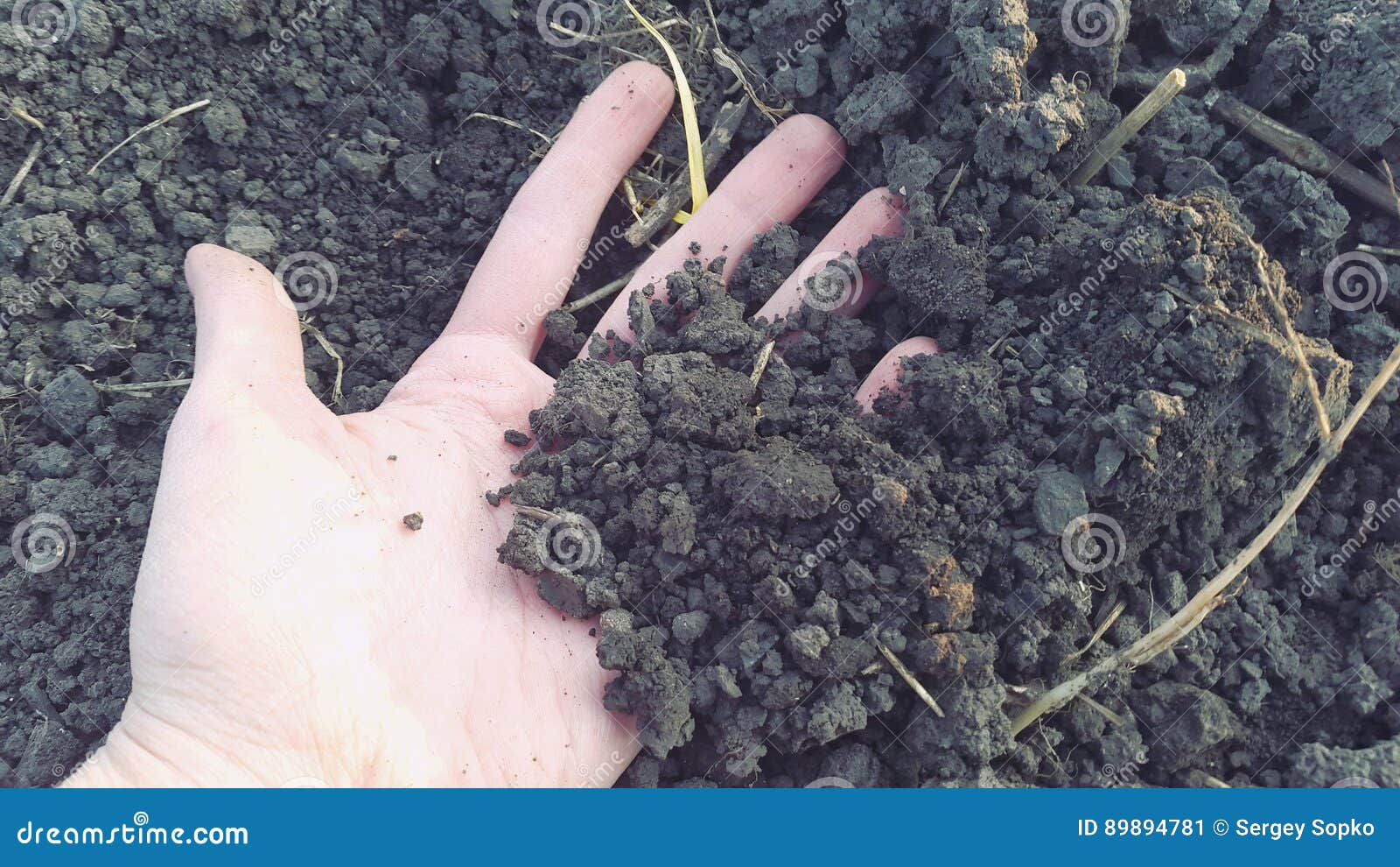 Dien De Grond in Om De Aarde Te Voelen Stock Afbeelding - Image of ...