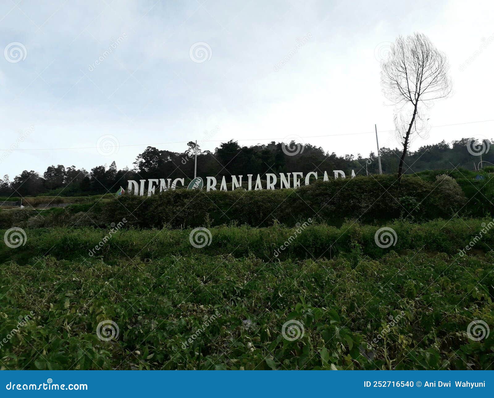 DIENG PLATEAU in Banjarnegara Central Java Indonesia Stock Photo ...