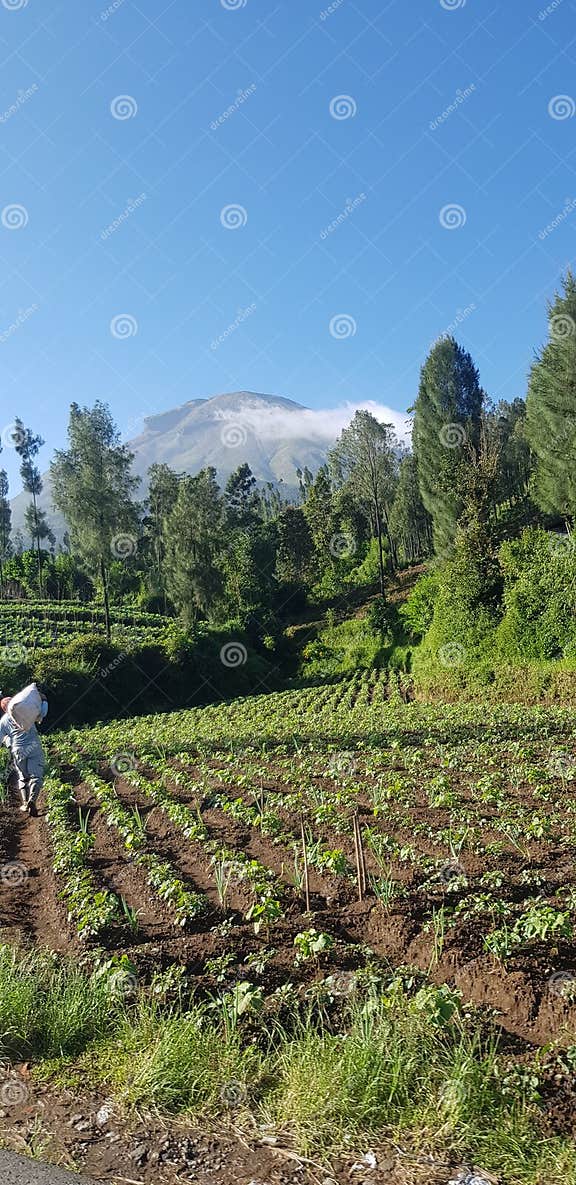 Dieng Plateau Central Java Indonesia Editorial Photo - Image of dieng ...