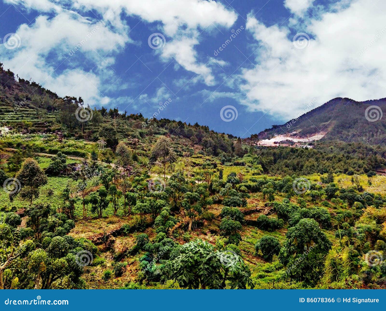 Dieng plateau village stock photo. Image of indonesia - 86078366