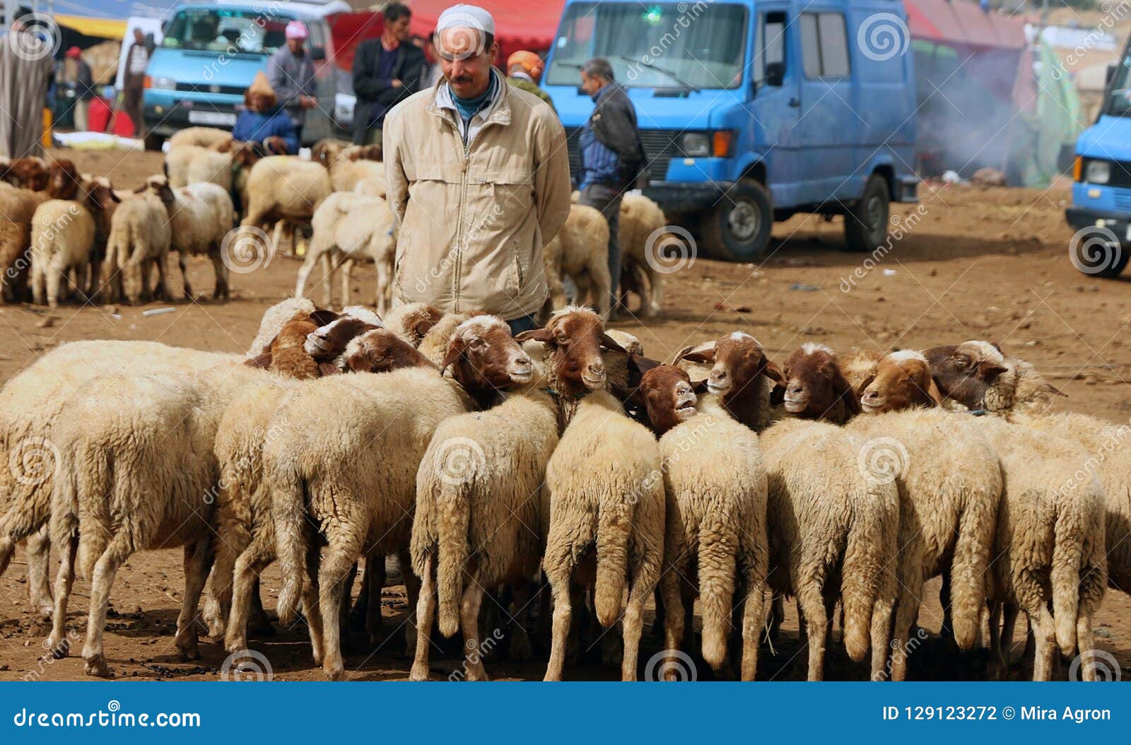 Dienstag Souk in Azrou, Marokko Redaktionelles Stockfotografie - Bild ...