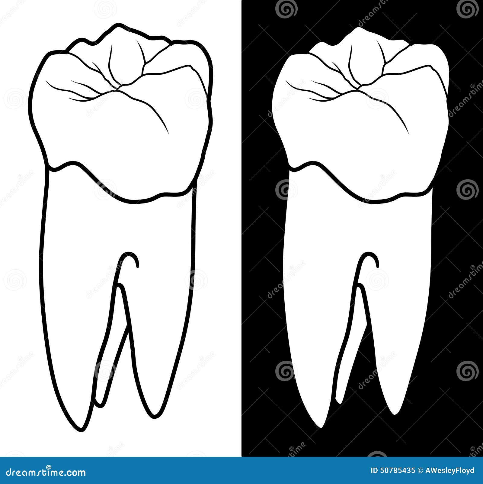 Diente Con Estilo Del Gráfico De La Raíz Ilustración del Vector ...