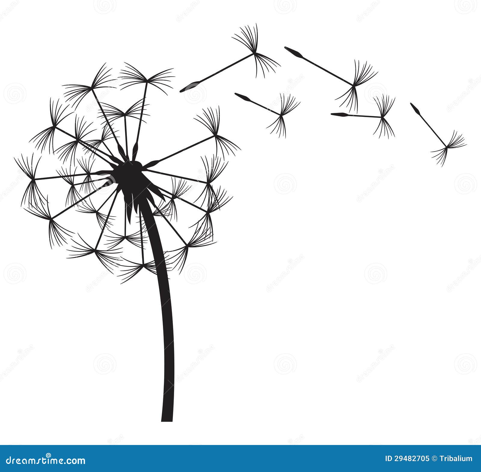 Diente de león ilustración del vector. Ilustración de flotador - 29482705