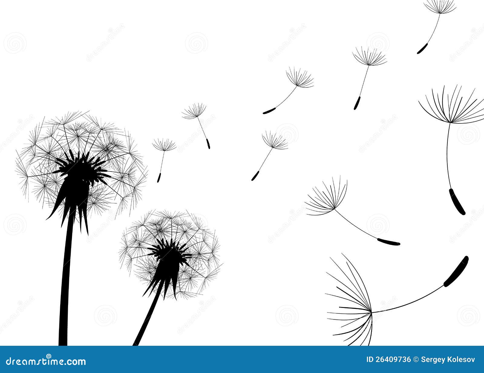 Diente De León Del Soplo. Vector Ilustración del Vector - Ilustración ...