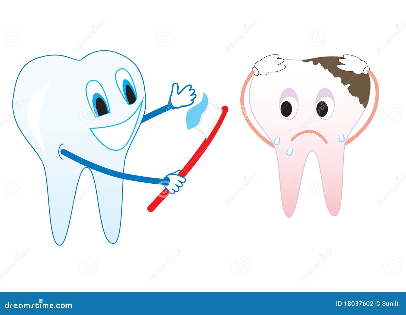 Diente Sano Y Enfermo Fotografía de archivo - Imagen: 18037602