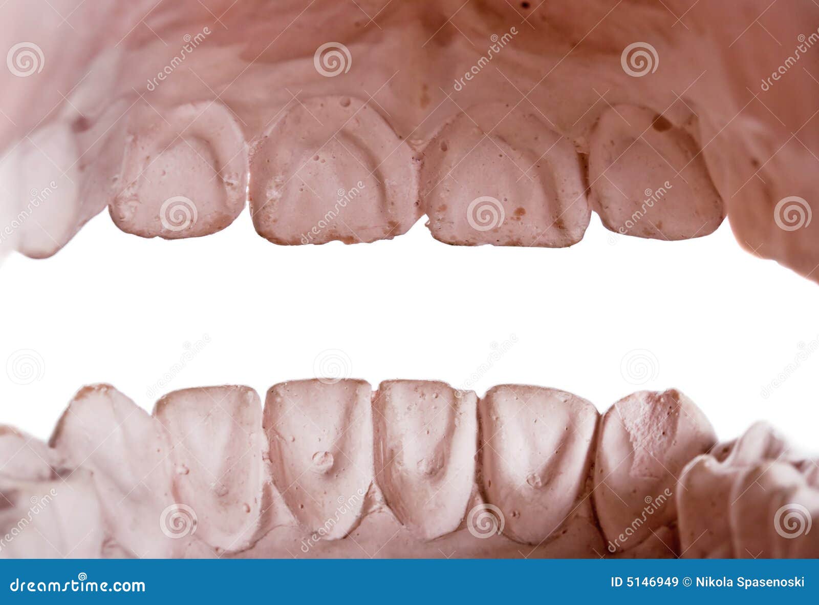 Dientes humanos imagen de archivo. Imagen de conceptual - 5146949