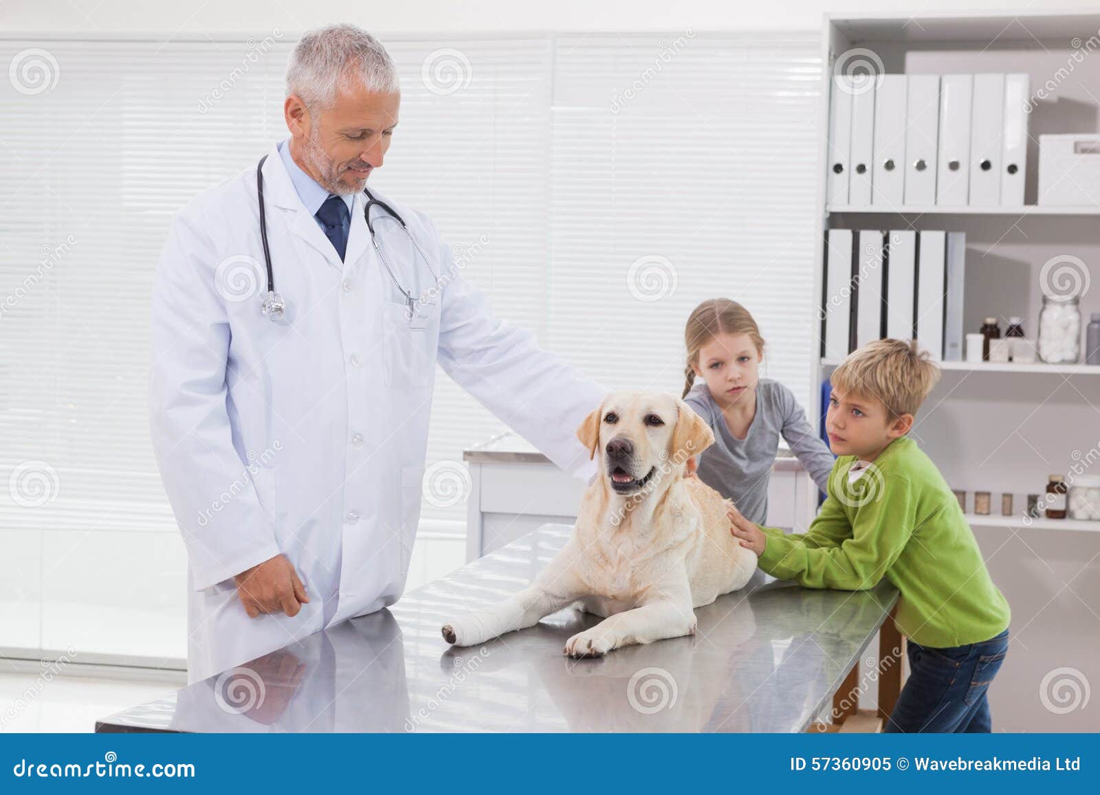Dierenarts Die Een Hond Met Zijn Eigenaars Onderzoeken Stock Afbeelding ... Dierenarts Die Een Hond Met Zijn Eigenaars Onderzoeken Stock Afbeelding ...