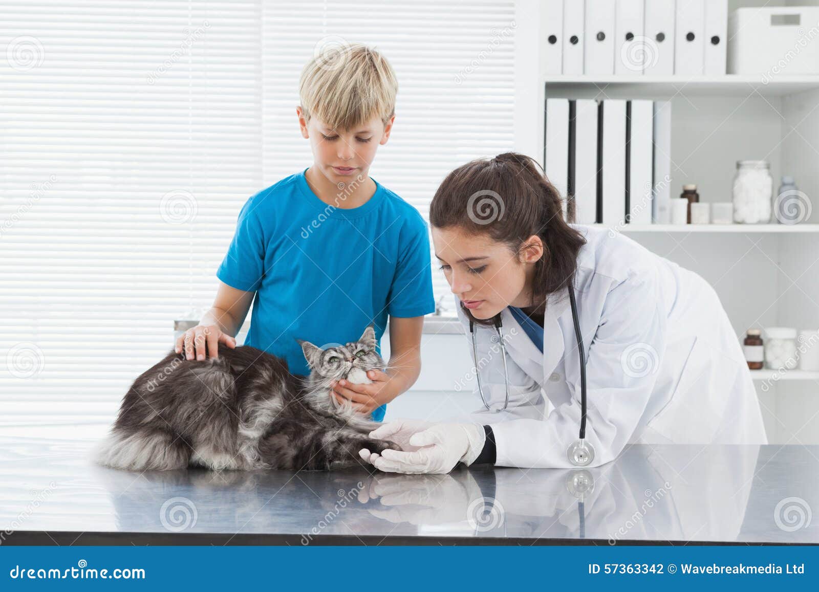 Dierenarts Die Een Kat Met Zijn Eigenaar Onderzoeken Stock Foto - Image ... Dierenarts Die Een Kat Met Zijn Eigenaar Onderzoeken Stock Foto - Image ...