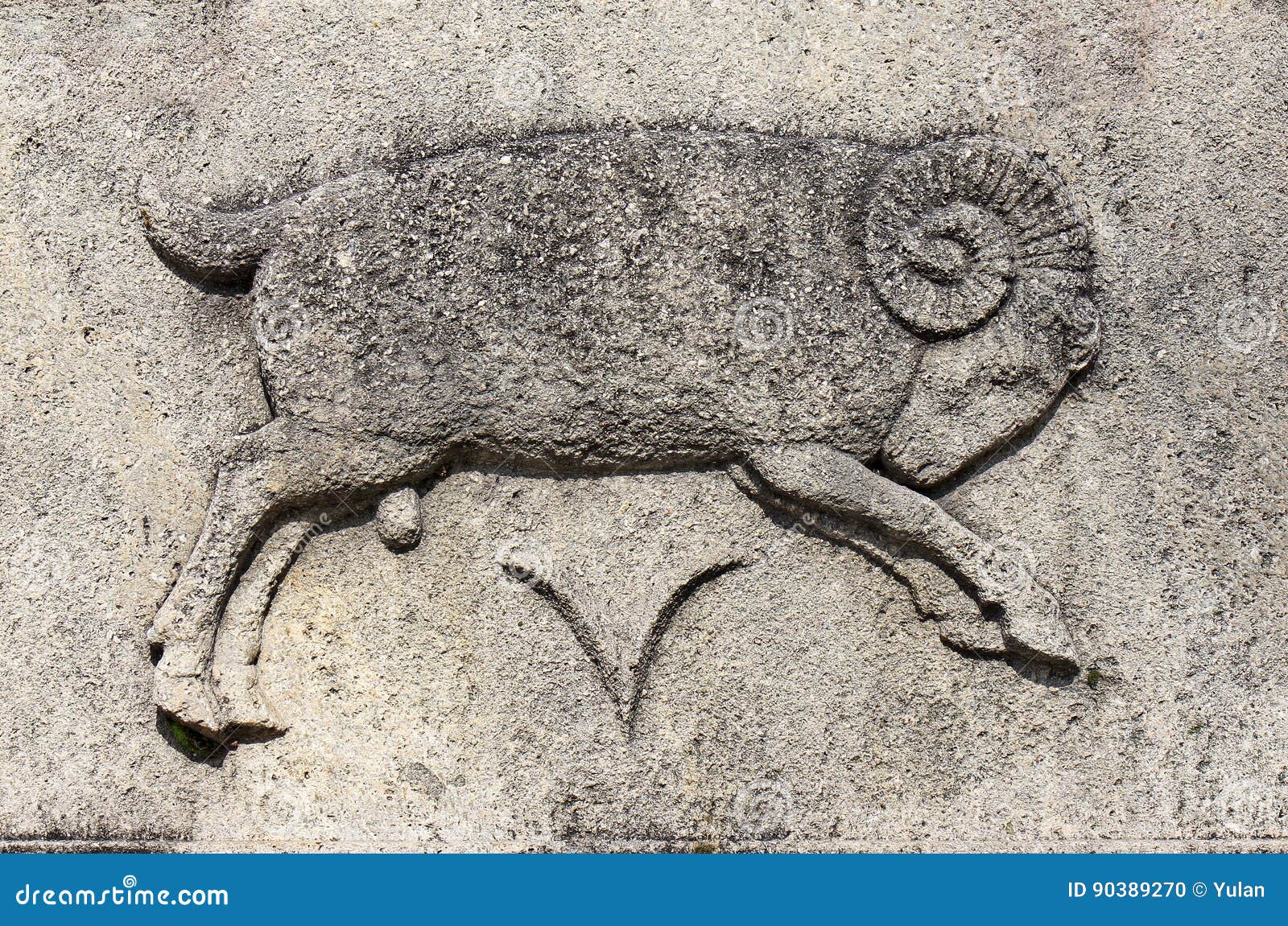 Dierenriem - Ram of Ram stock foto. Image of mannetje - 90389270