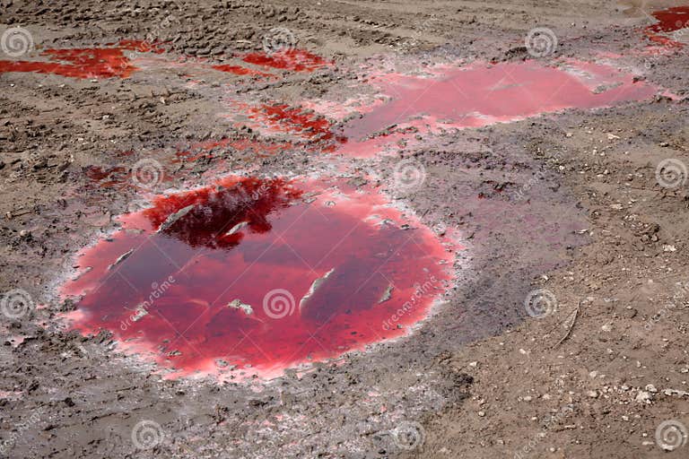 Diesel Pollution stock image. Image of spillage, waste - 9275261