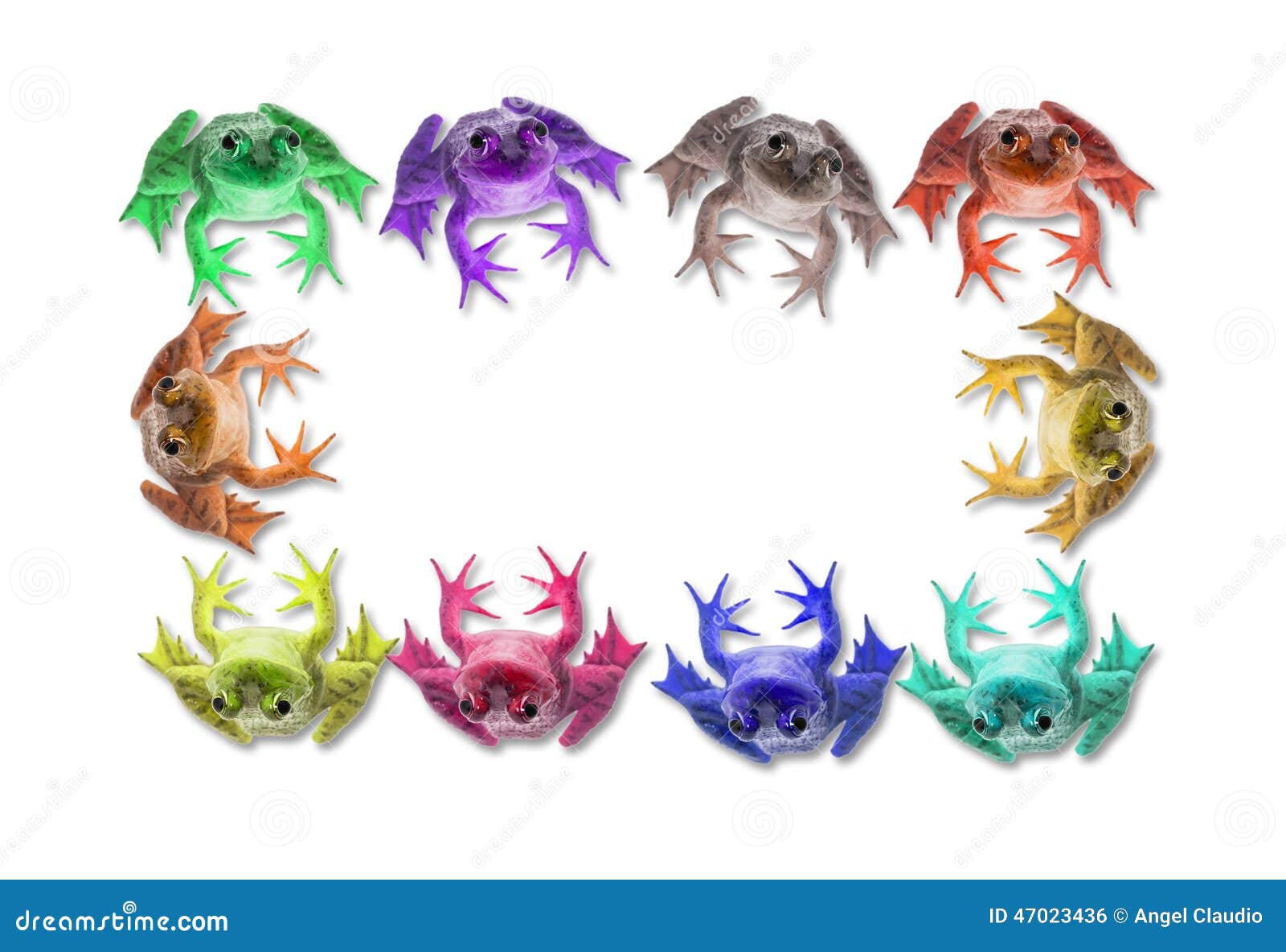 Diez Ranas Coloridas Forman Un Marco Foto de archivo - Imagen de ...