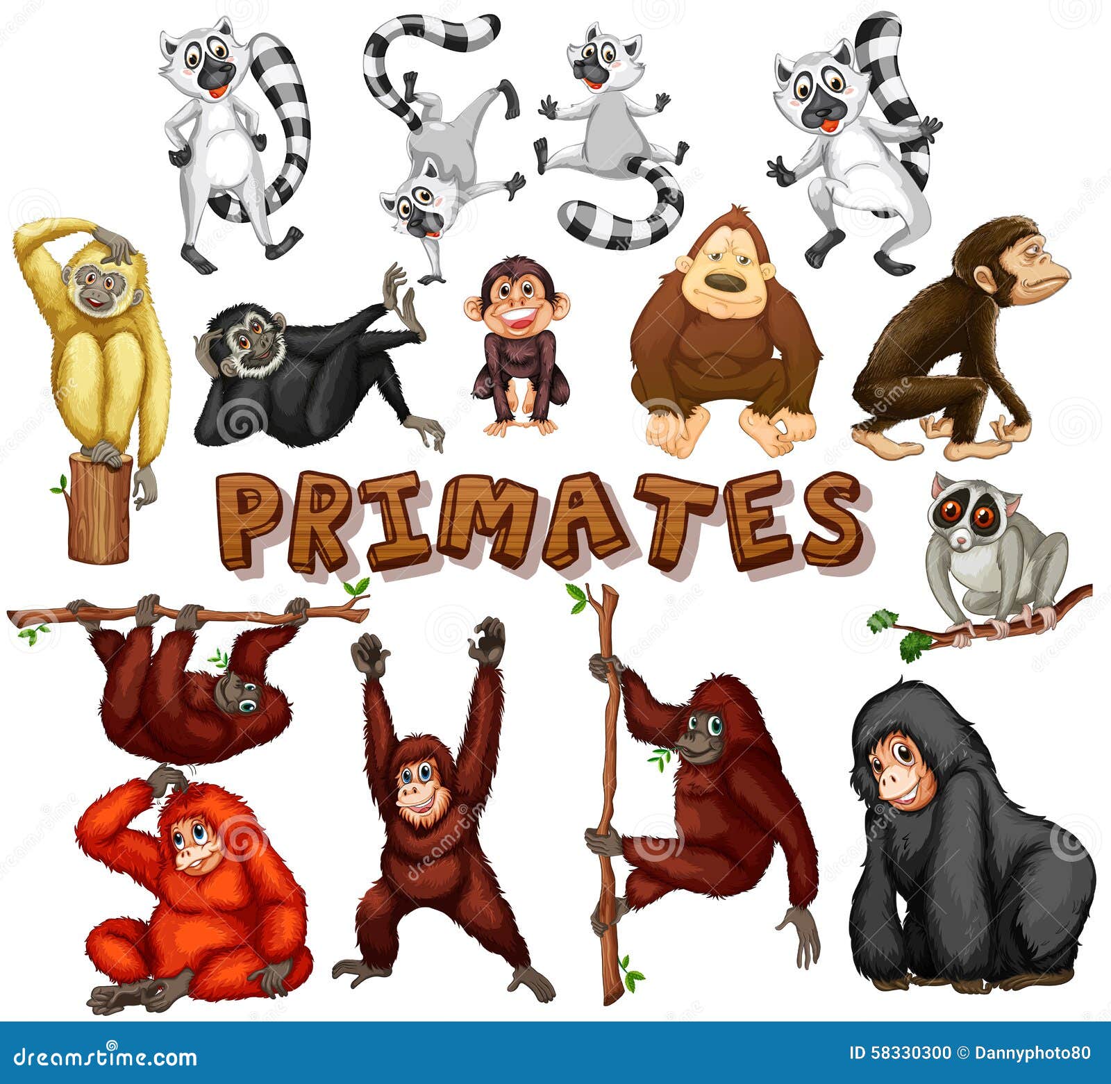 Diferente tipo de primates ilustración del vector. Ilustración de ...