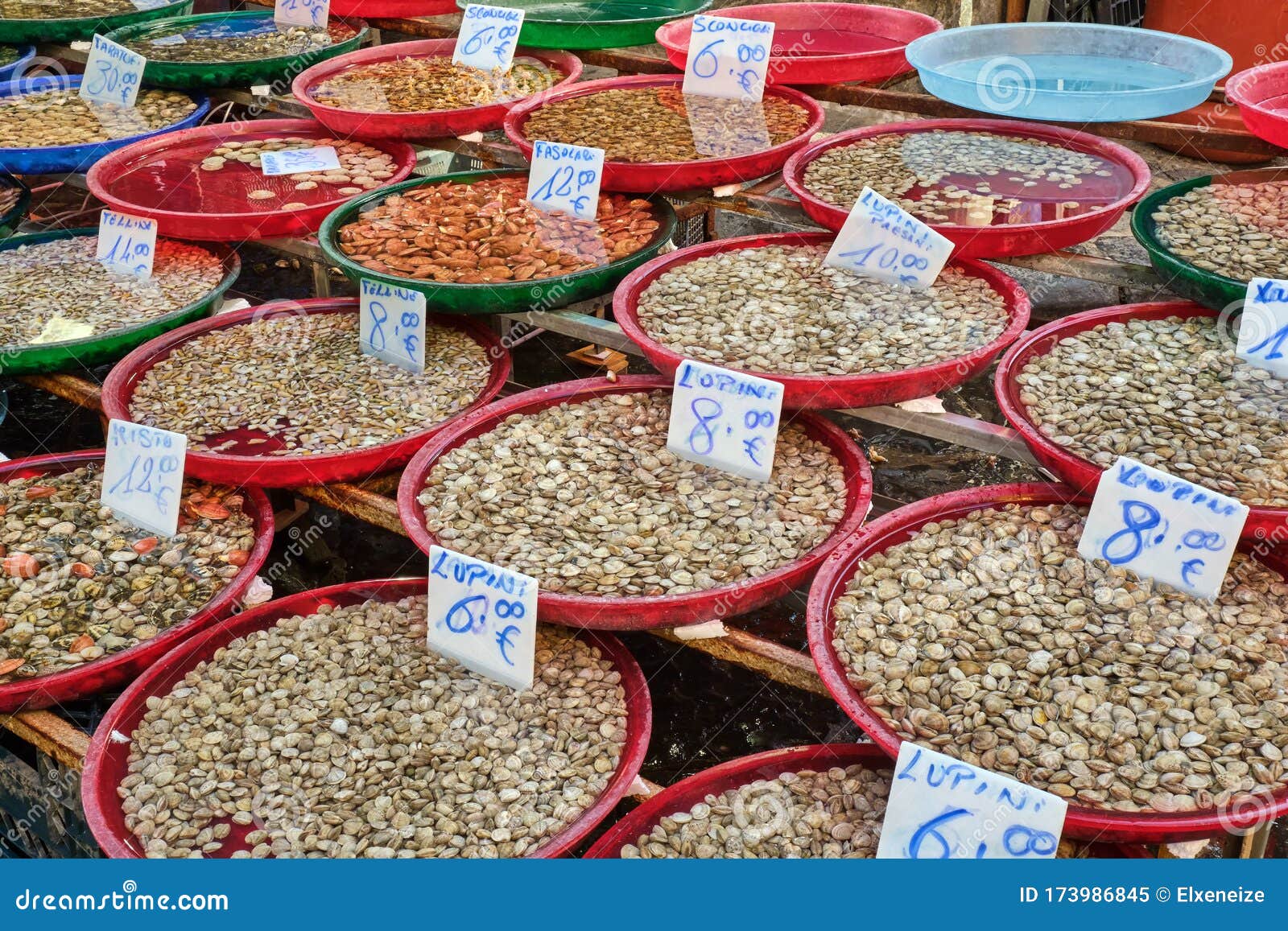 Diferentes Tipos De Bivalvos Imagen de archivo - Imagen de cocina ...