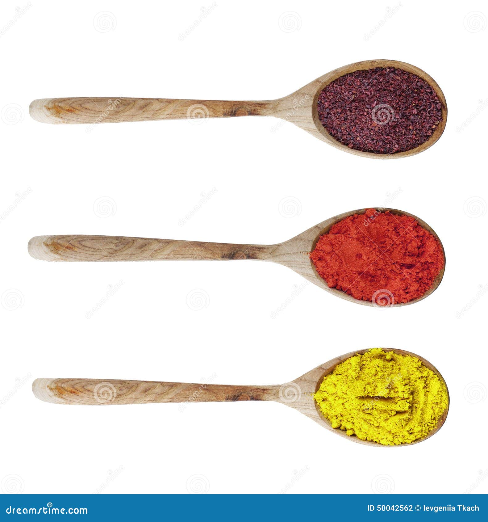 Diferentes Tipos De Condimento Foto de archivo - Imagen de romero, seco ...